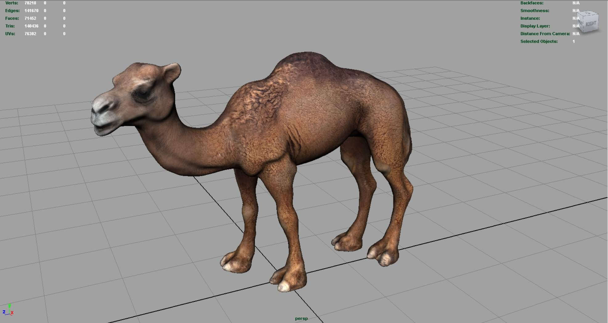 Camel - 3D Model by alenfsl