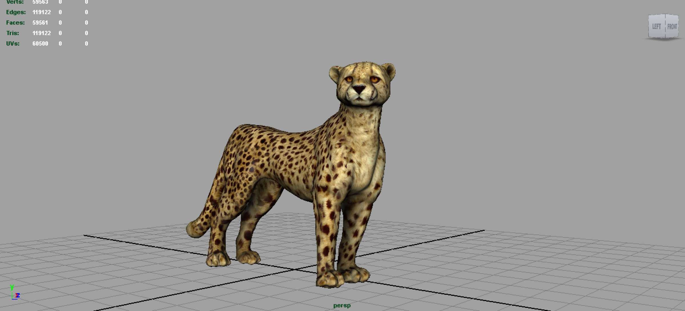 Cheetah - 3D Model by alenfsl