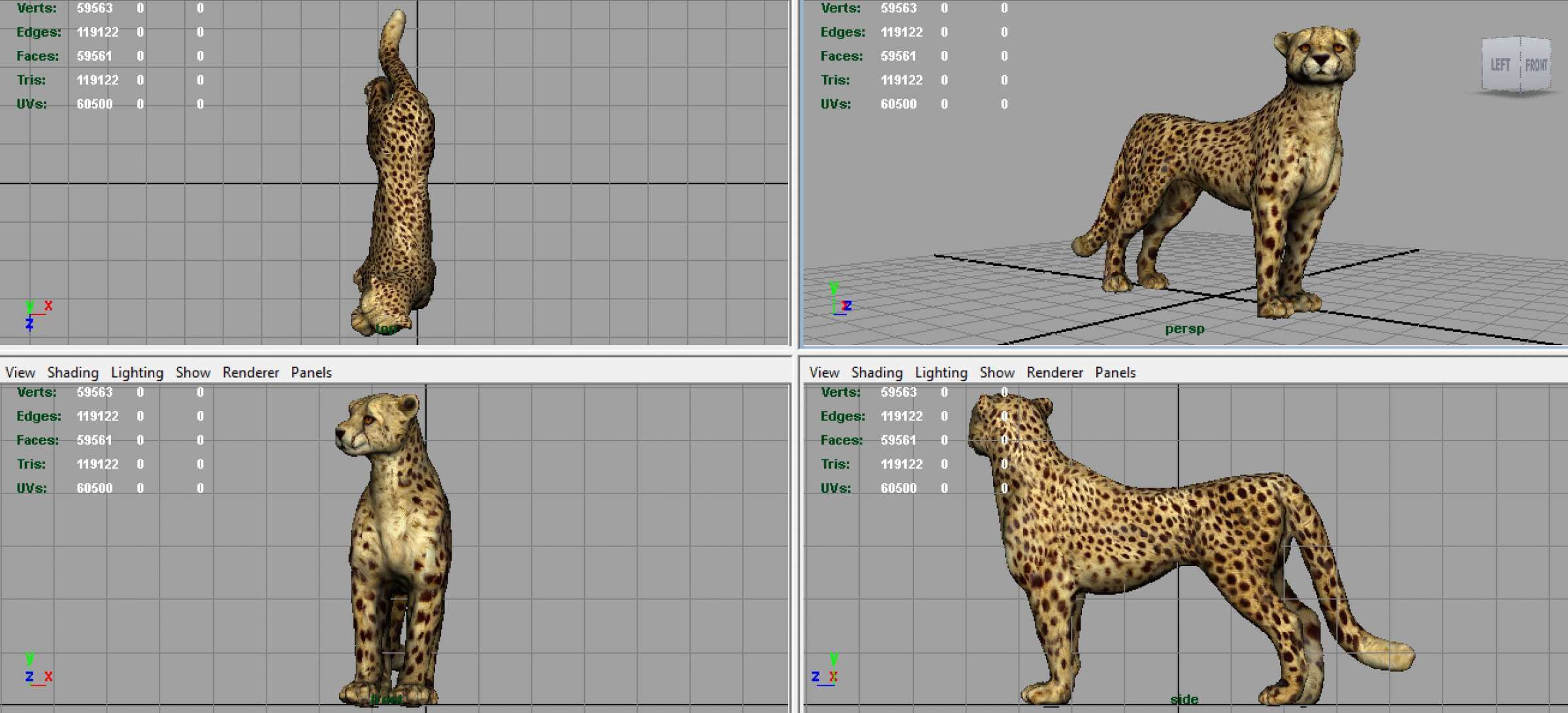 Cheetah - 3D Model by alenfsl