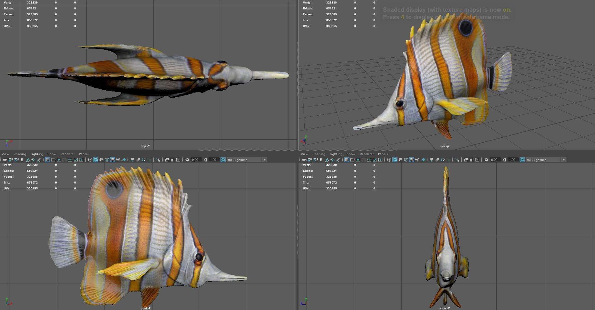 Coral Fish - 3D Model by alenfsl