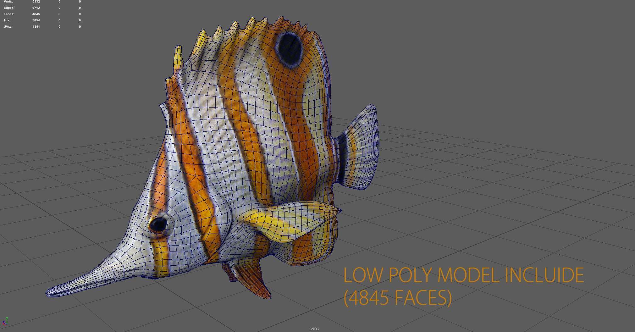 Coral Fish - 3D Model by alenfsl