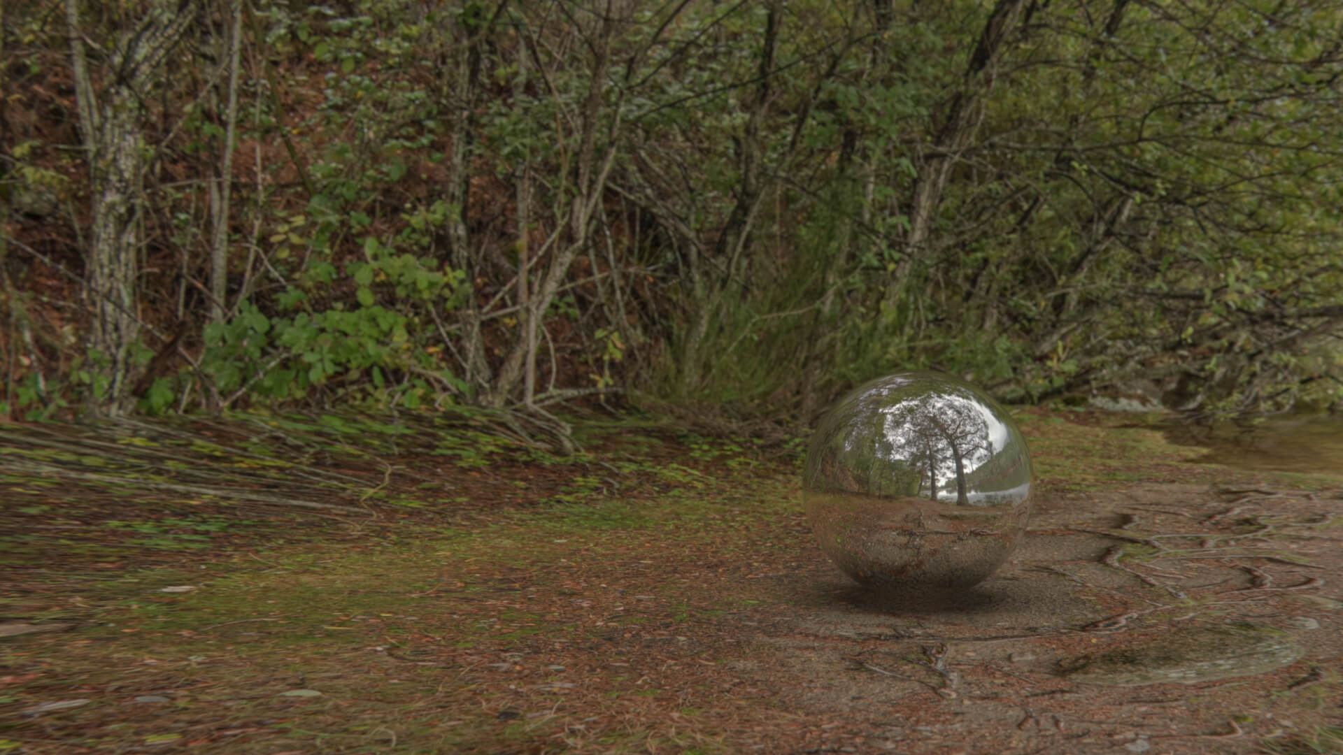 High Dynamic Range 063 - HDR Image by alenfsl