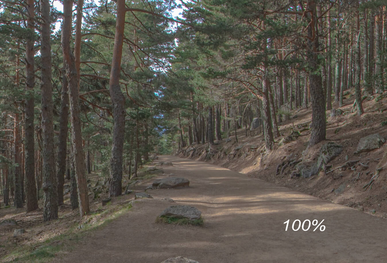 High Dynamic Range 073 - HDR Image by alenfsl