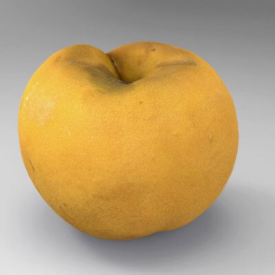 Peach - 3D Model by alenfsl