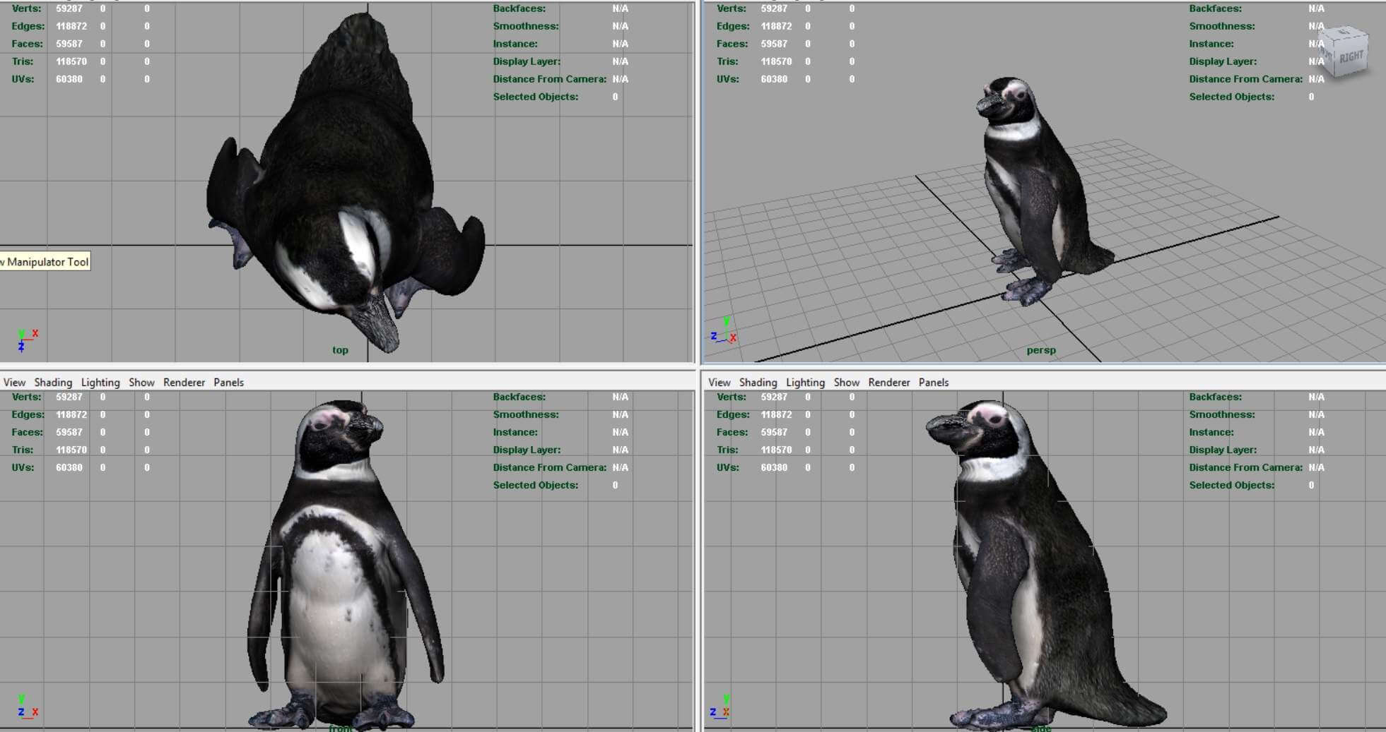 Penguin - 3D Model by alenfsl