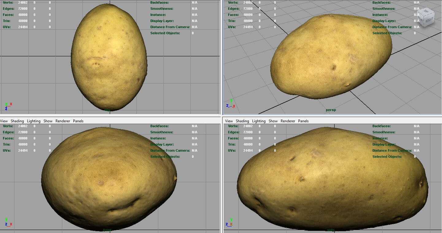 Potato - 3D Model by alenfsl