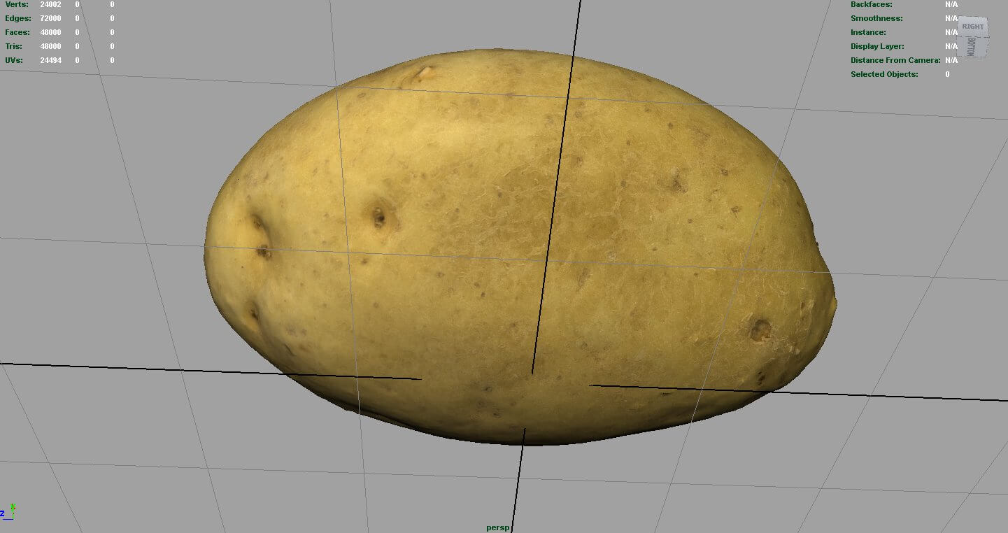 Potato - 3D Model by alenfsl