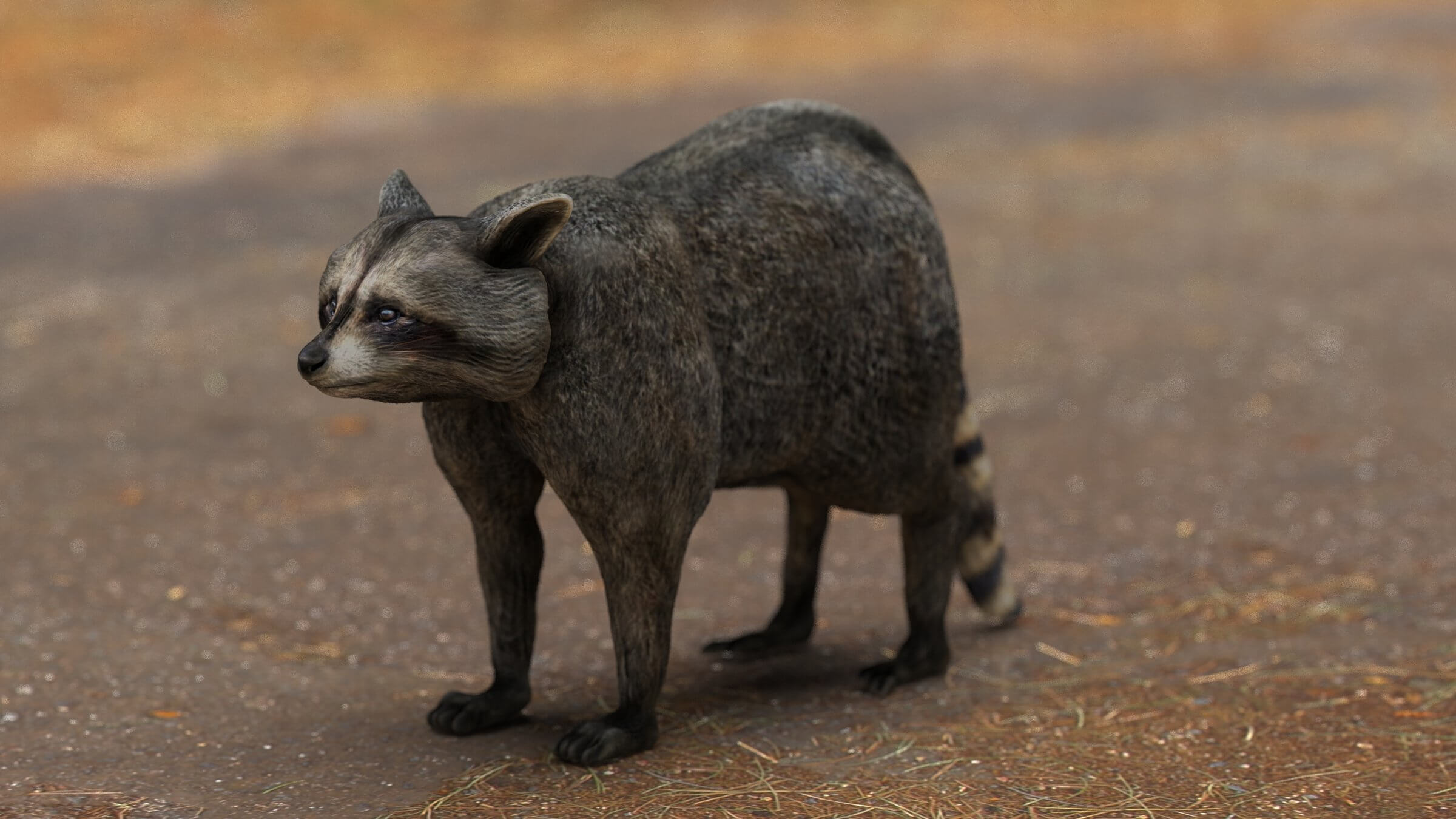 Racoon - 3D Model by alenfsl