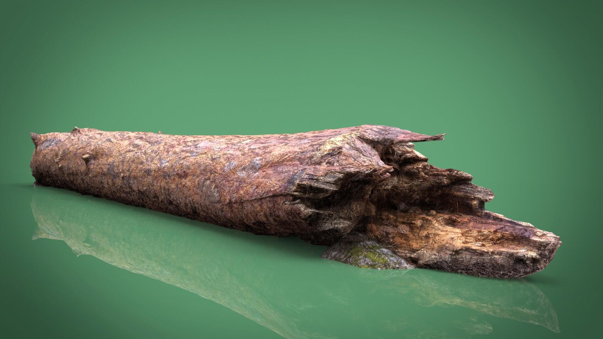 Tree Trunk - 3D Model by alenfsl