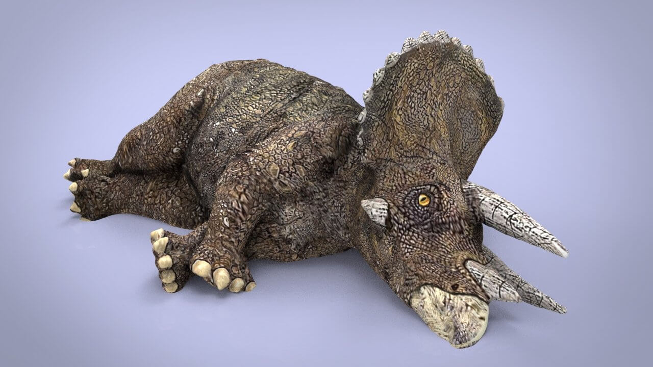 Triceratops - 3D Model by alenfsl