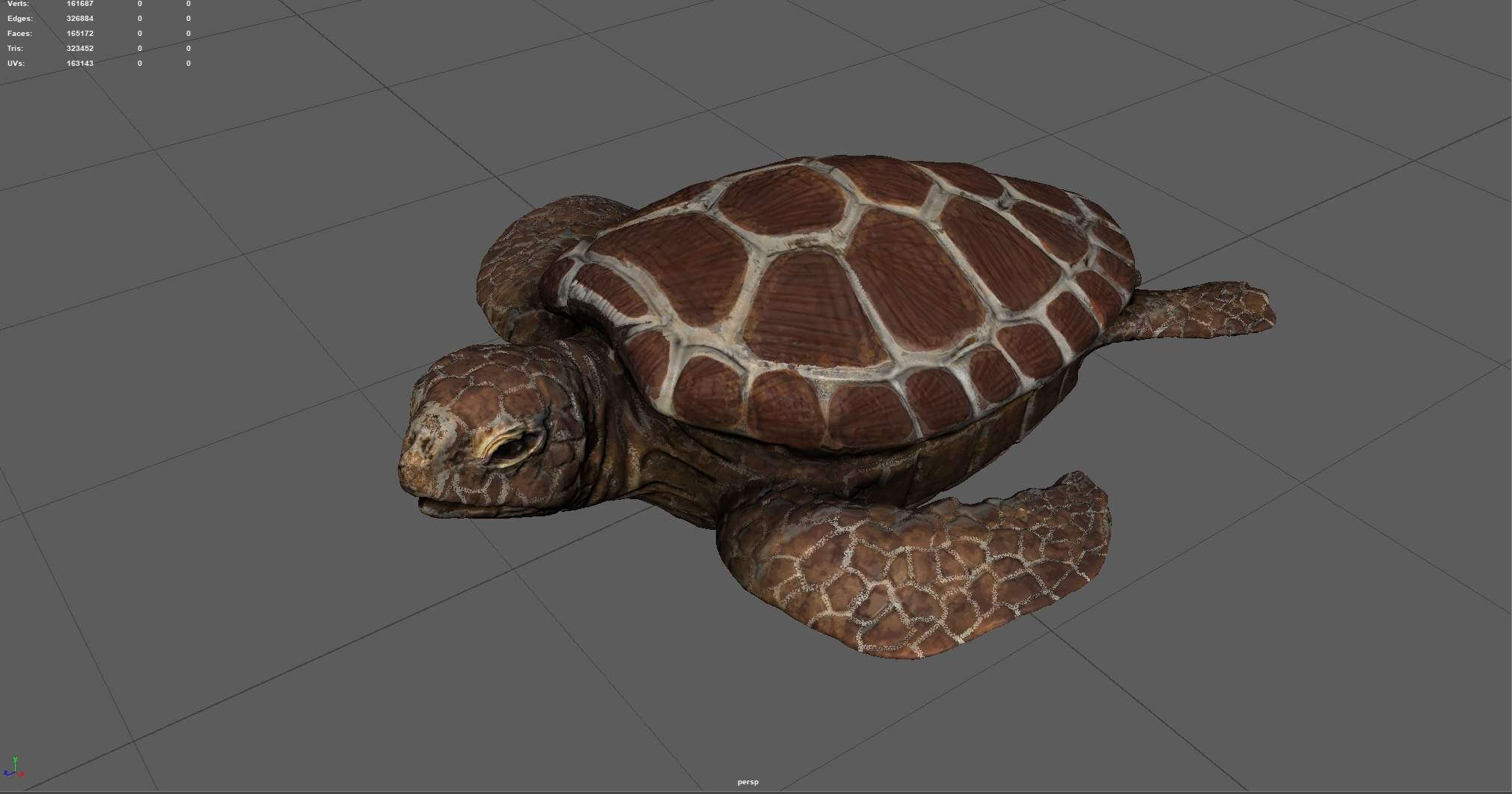 Turtle - 3D Model by alenfsl