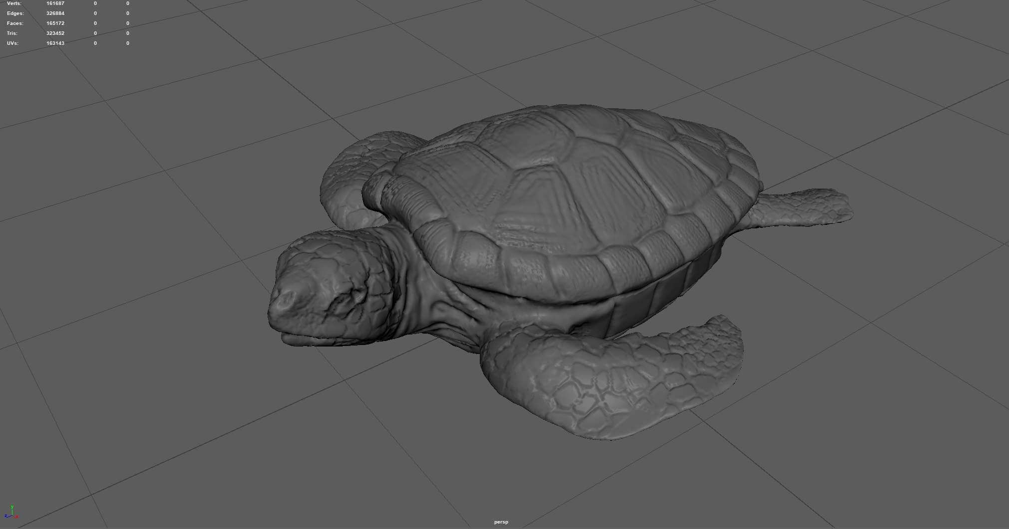 Turtle - 3D Model by alenfsl