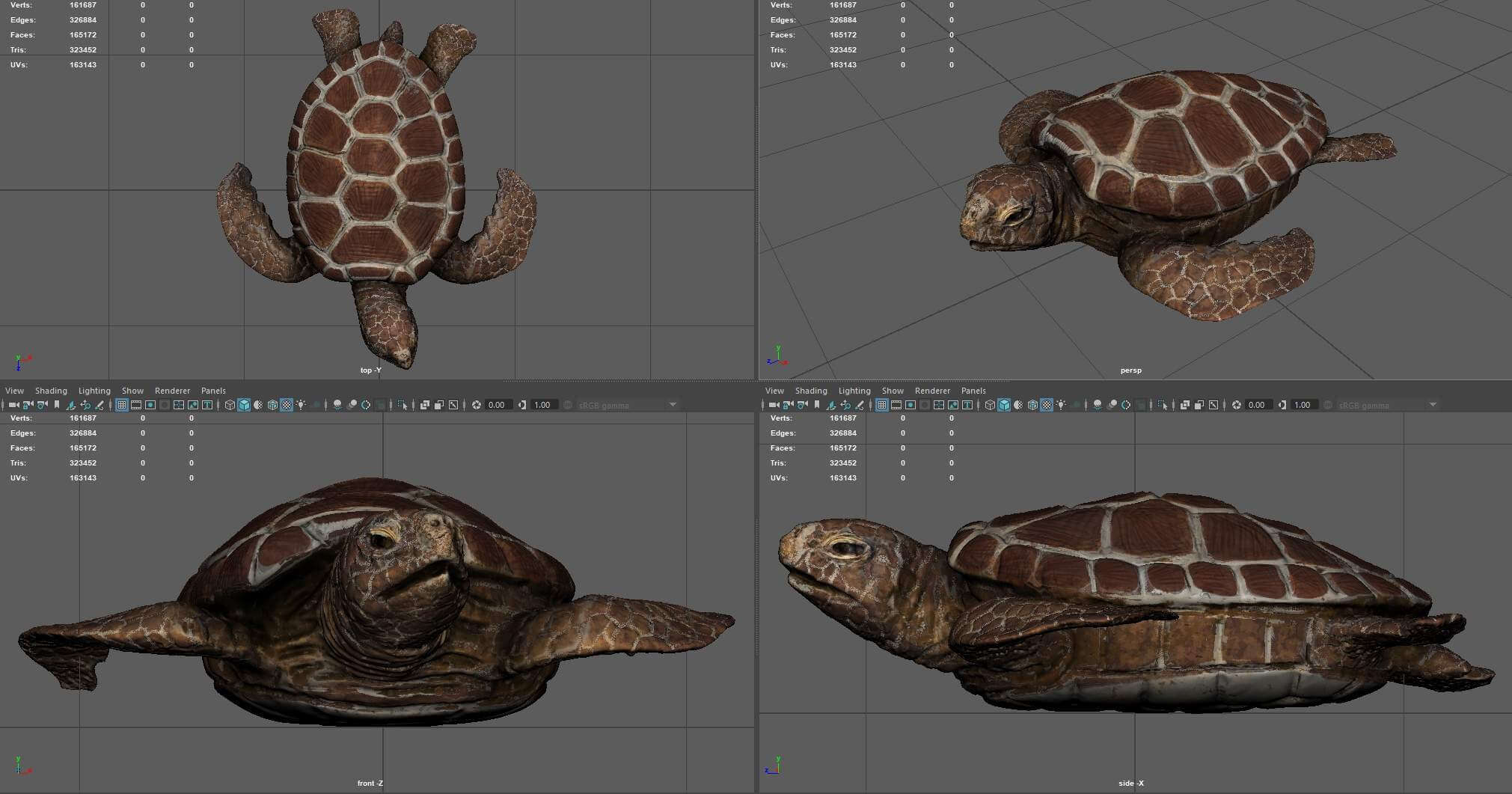 Turtle - 3D Model by alenfsl