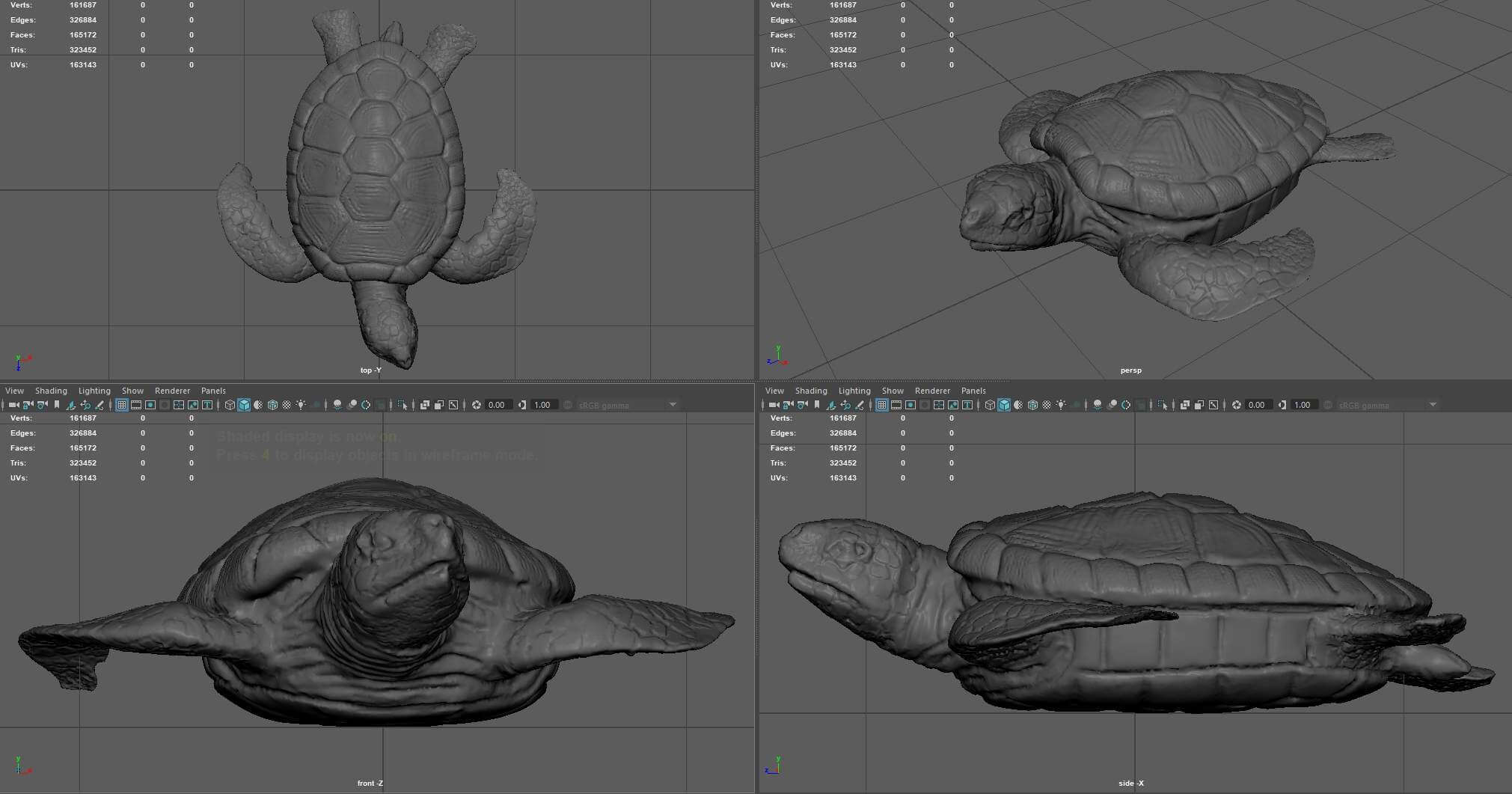 Turtle - 3D Model by alenfsl