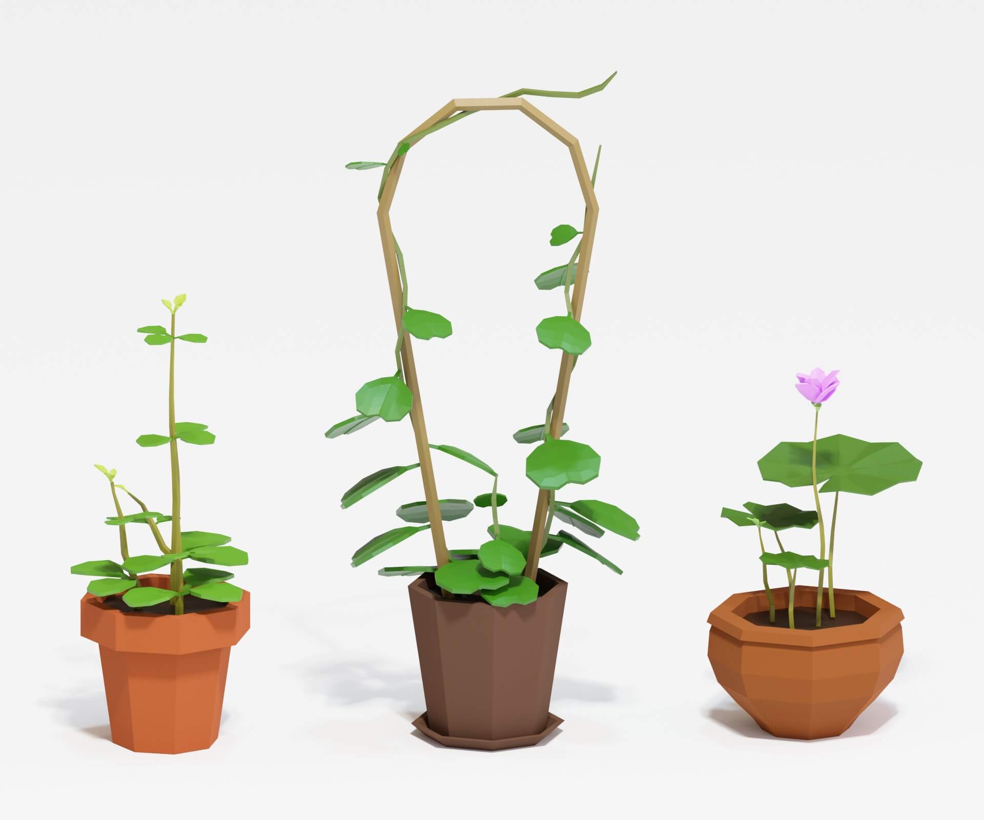 Cartoon Houseplants - 3D Model by AleoPix