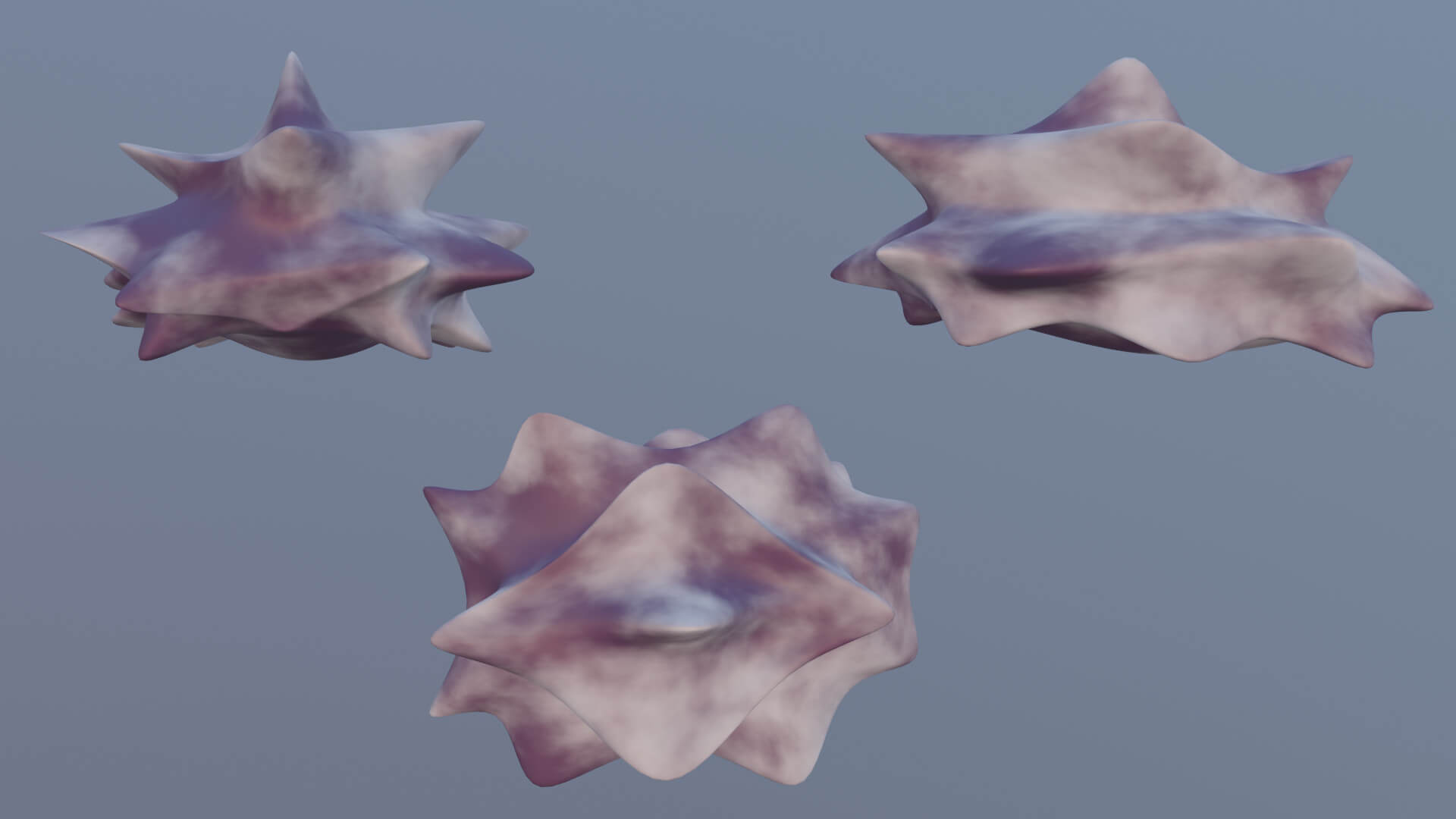 Old Deep Sea Salamander With Shell - 3D Model by Alex_Meowry