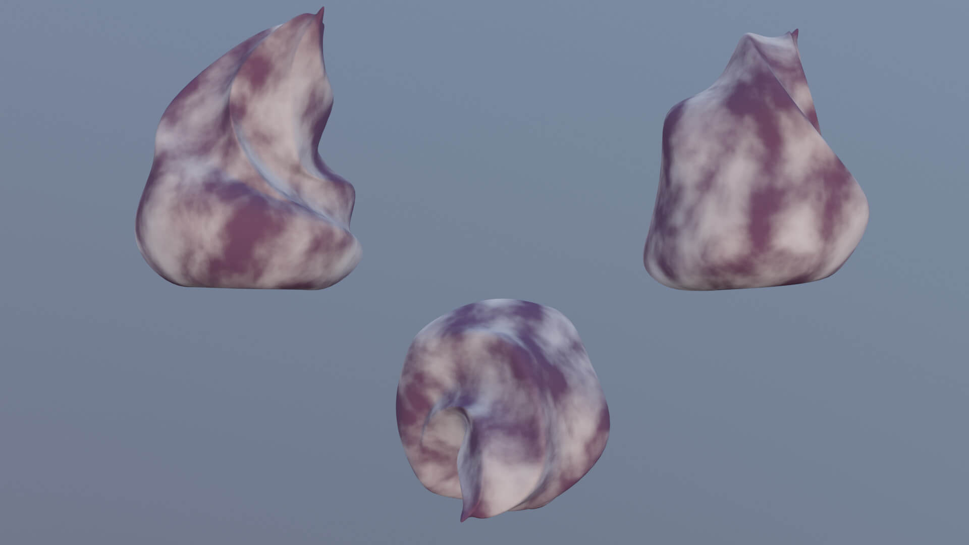 Old Deep Sea Salamander With Shell - 3D Model by Alex_Meowry