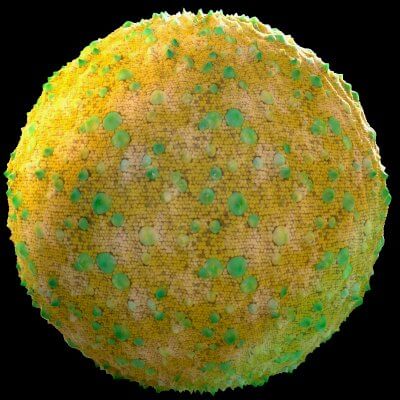 Free 3D Models | Materials | RenderHub