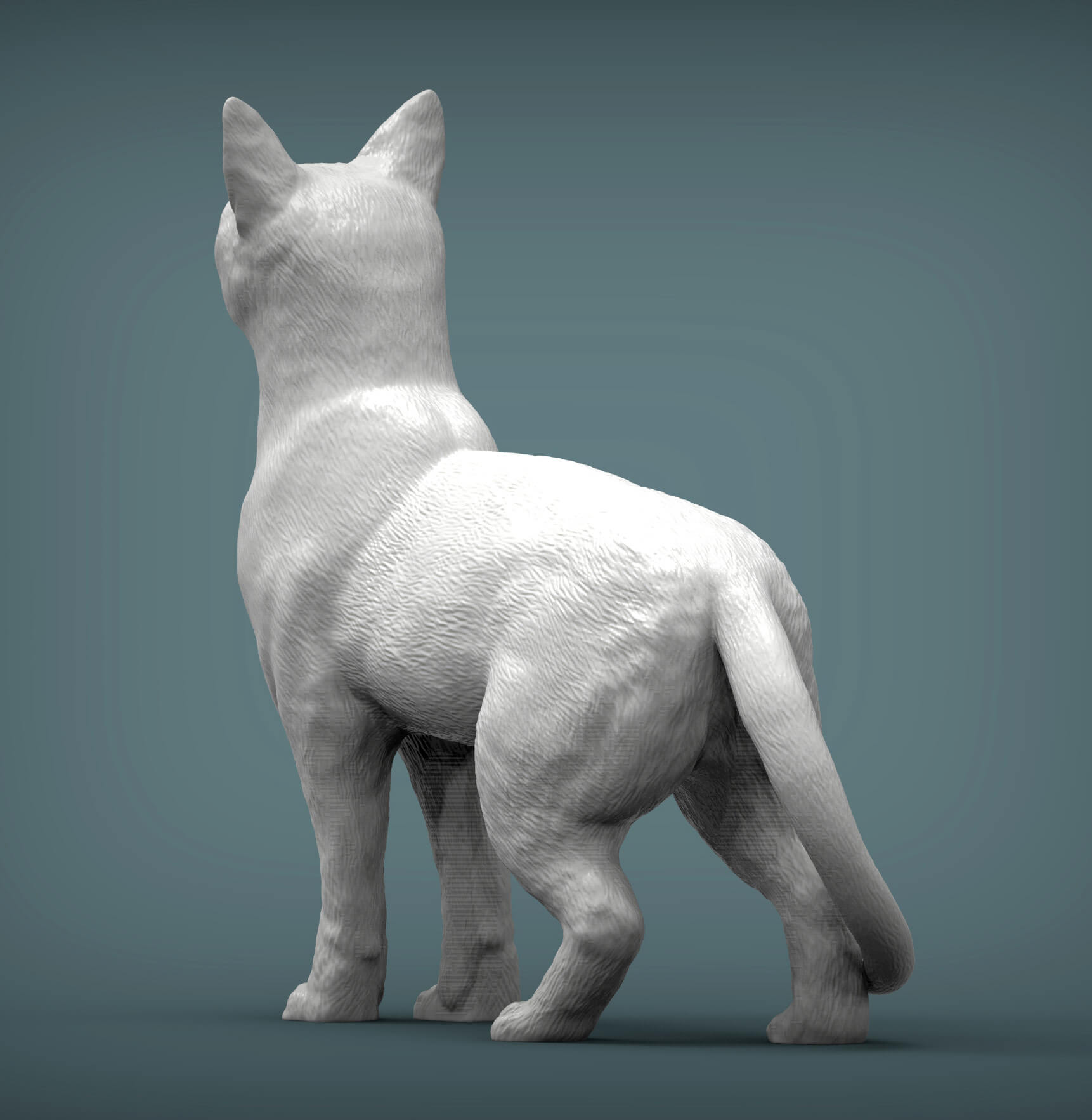 Abyssinian Cat 3D Print Model 2 by Alexander3dart