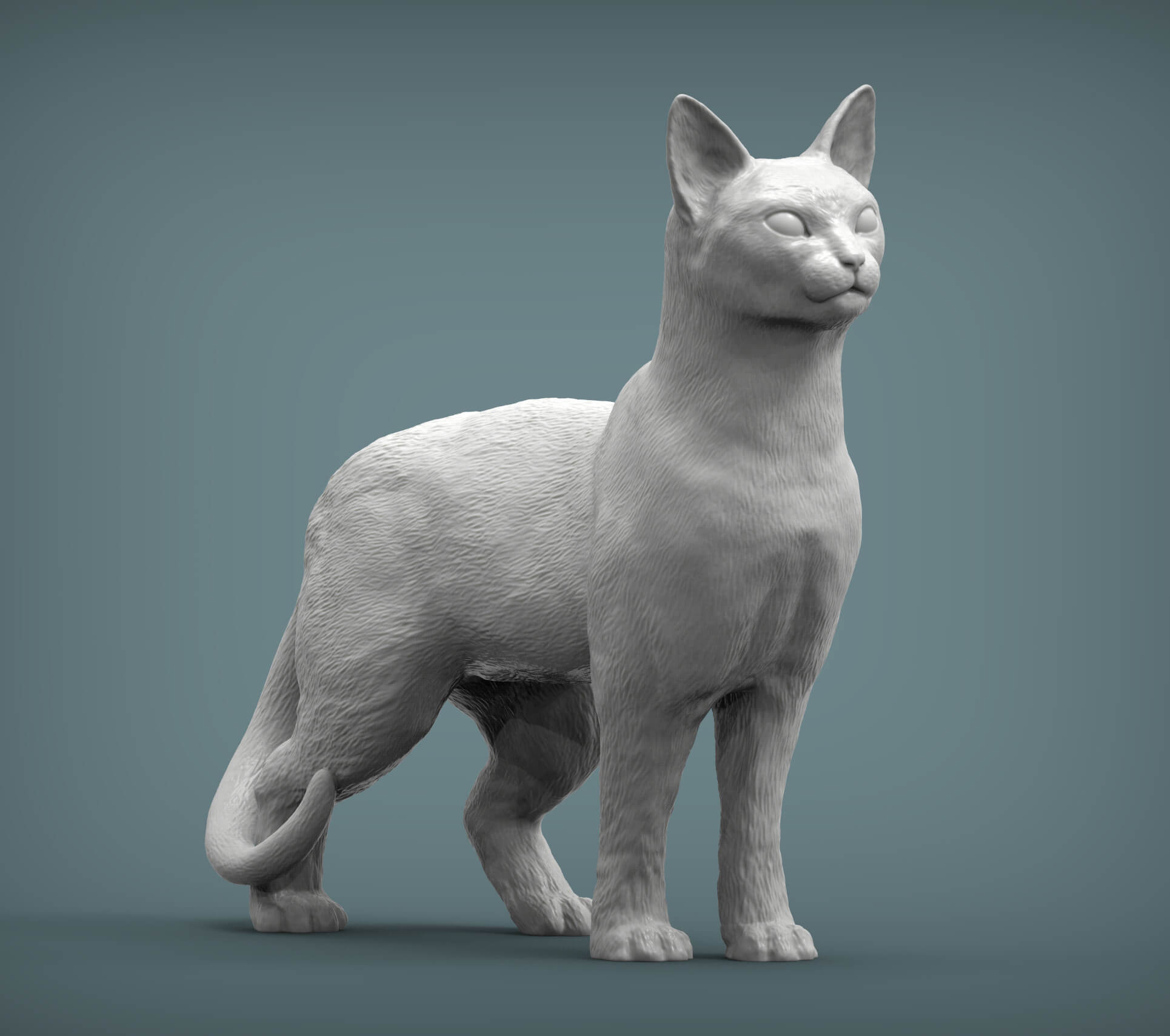 Abyssinian Cat 3D Print Model 2 by Alexander3dart