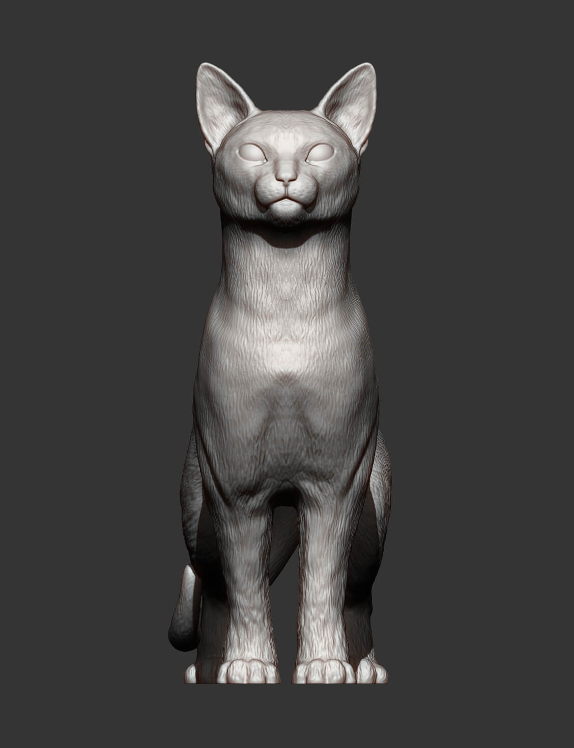 Abyssinian Cat 3D Print Model 2 by Alexander3dart