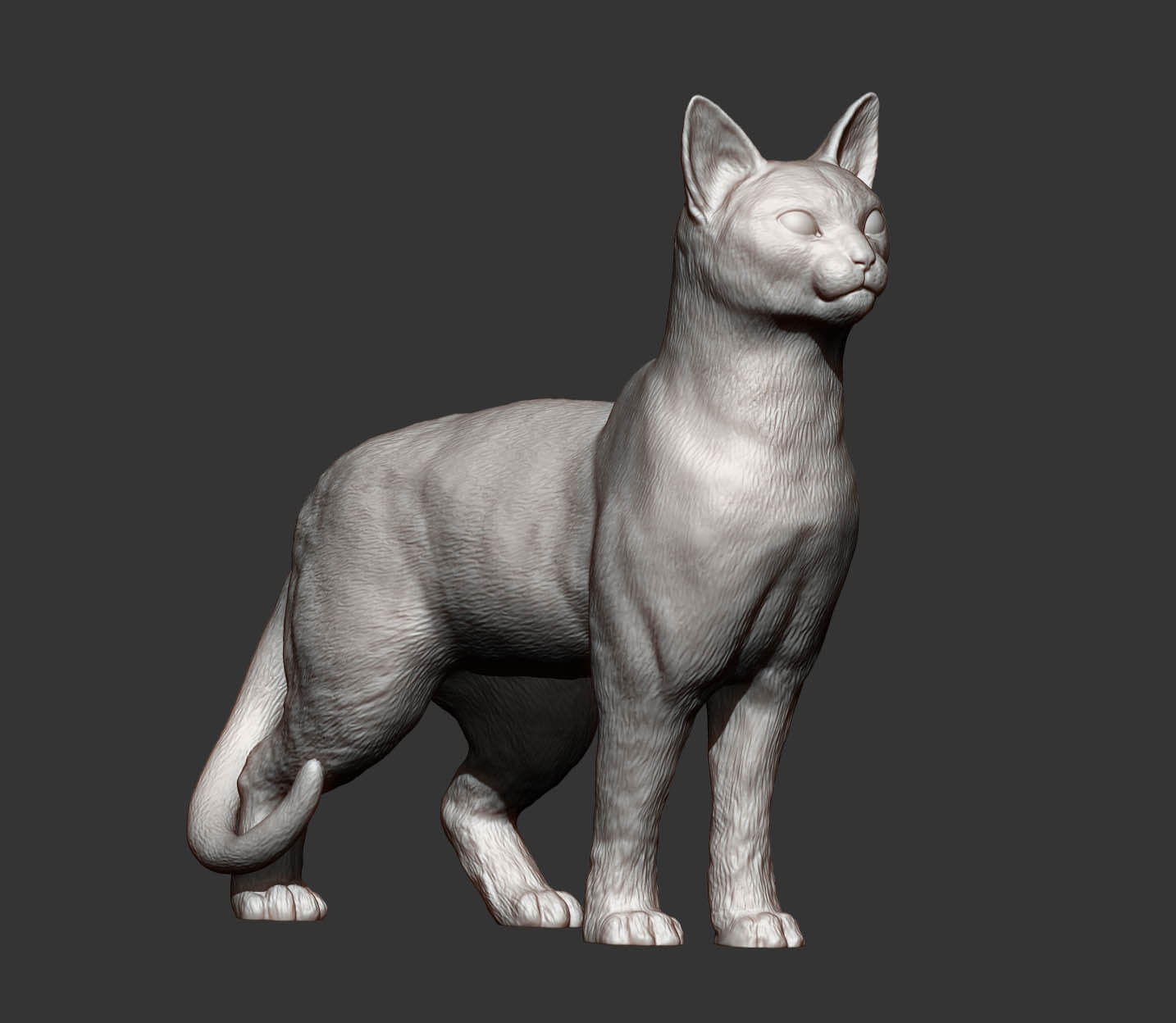 Abyssinian Cat 3D Print Model 2 by Alexander3dart