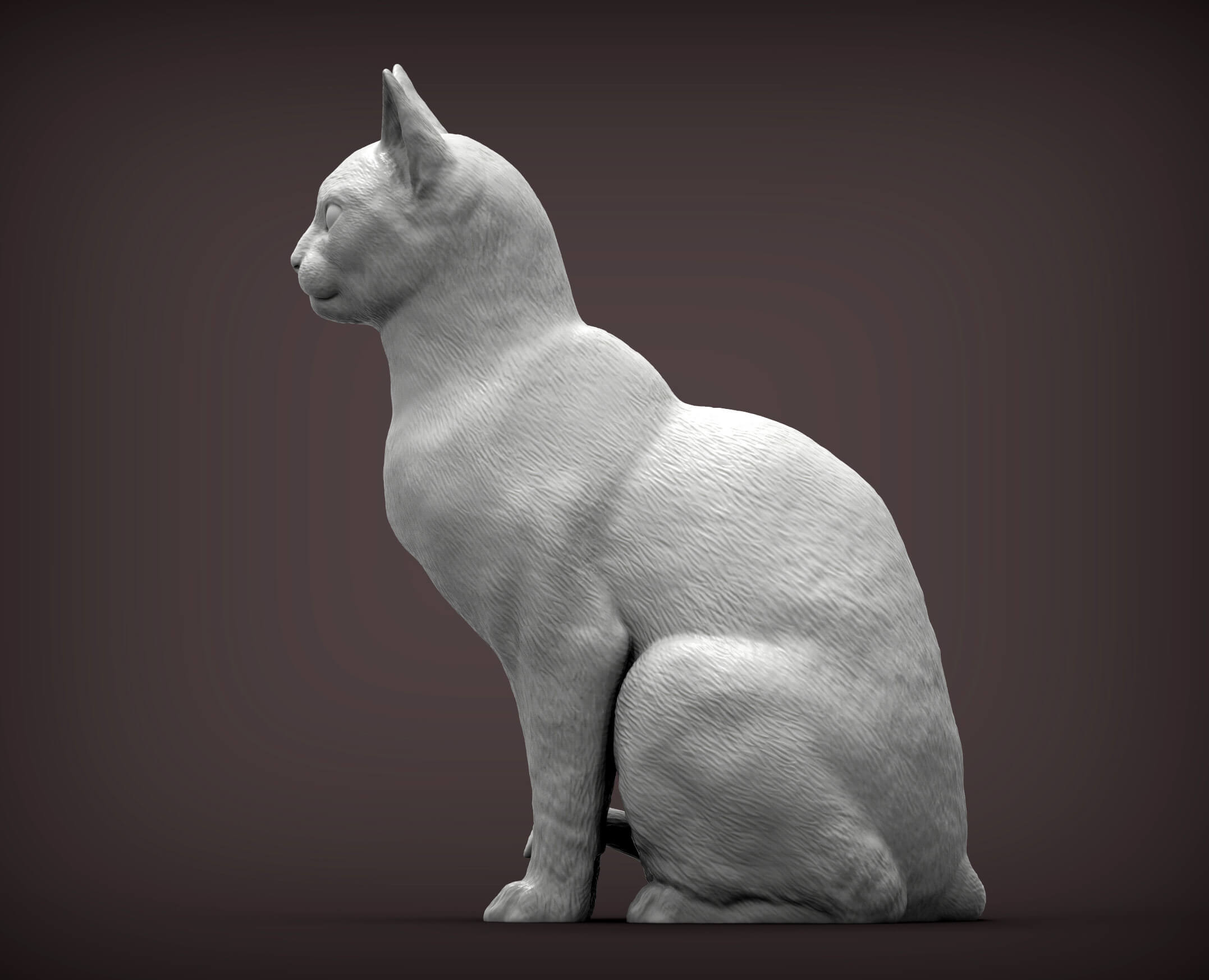 Abyssinian Cat 3D Print Model by Alexander3dart