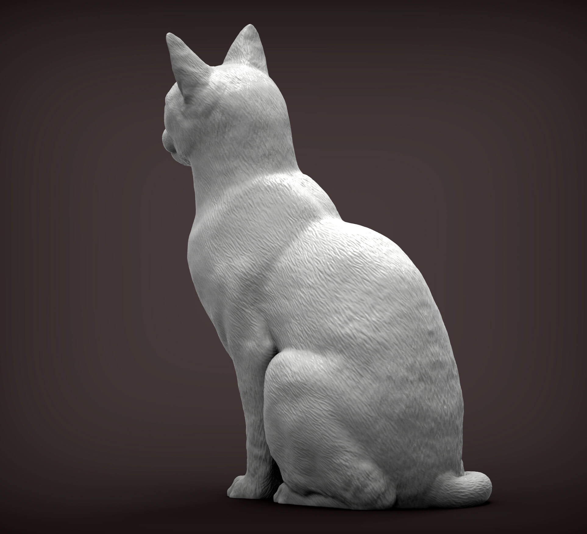 Abyssinian Cat 3D Print Model by Alexander3dart