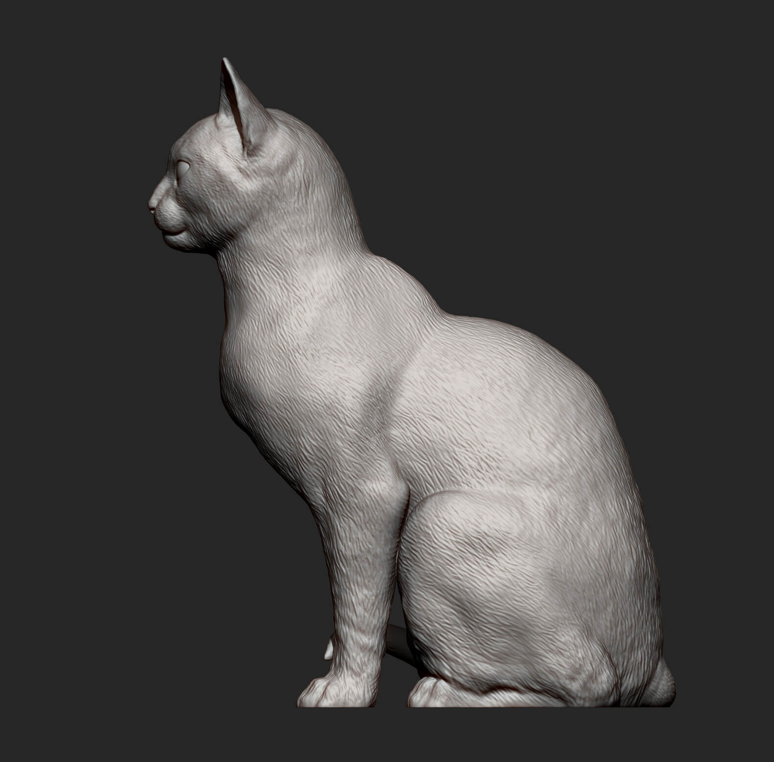 Abyssinian Cat 3D Print Model by Alexander3dart