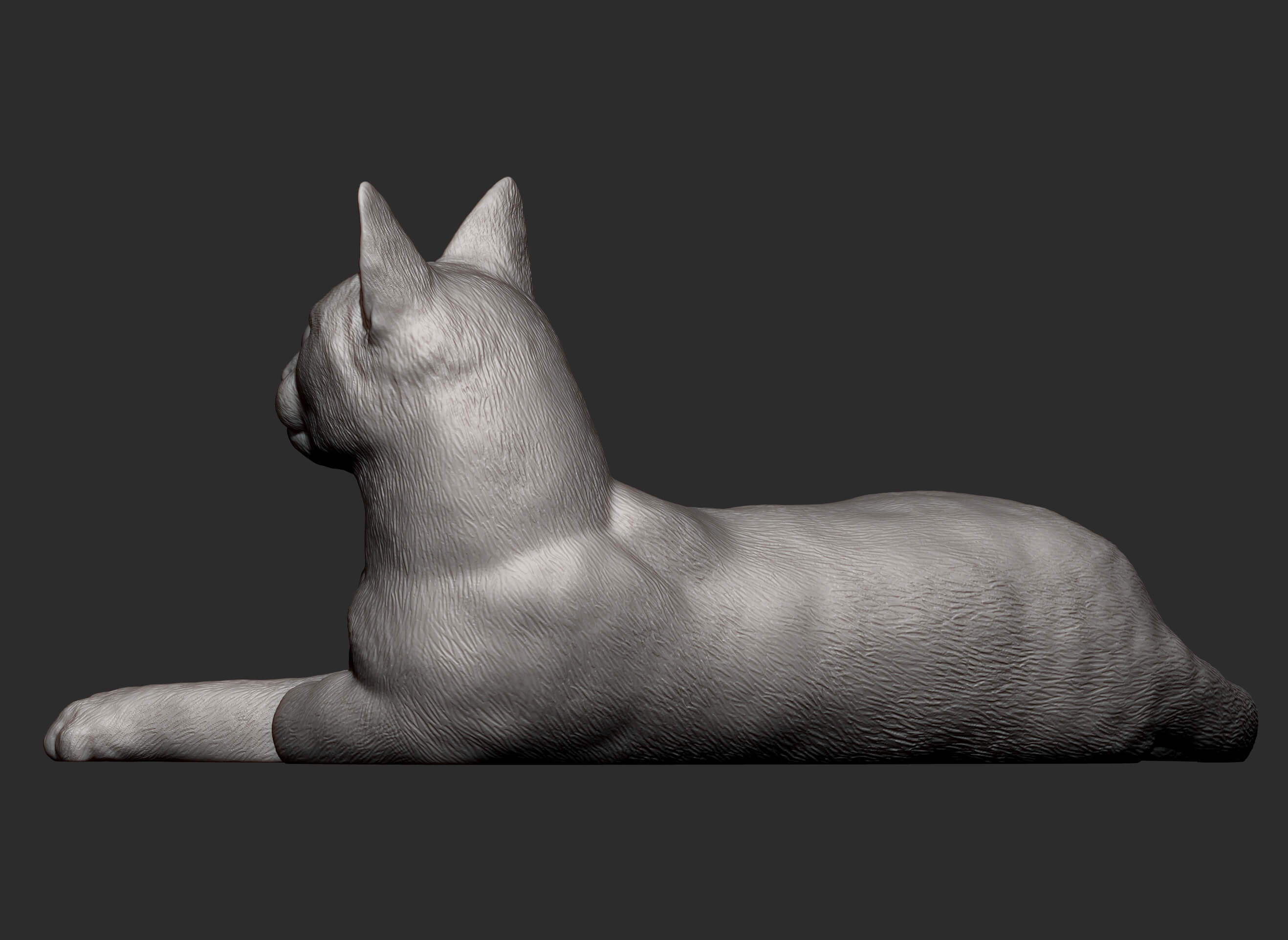 Abyssinian Cat Lying Sculpture - 3D Model by Alexander3dart