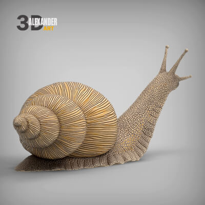 Achatina Snail - 3D Model by Alexander3dart