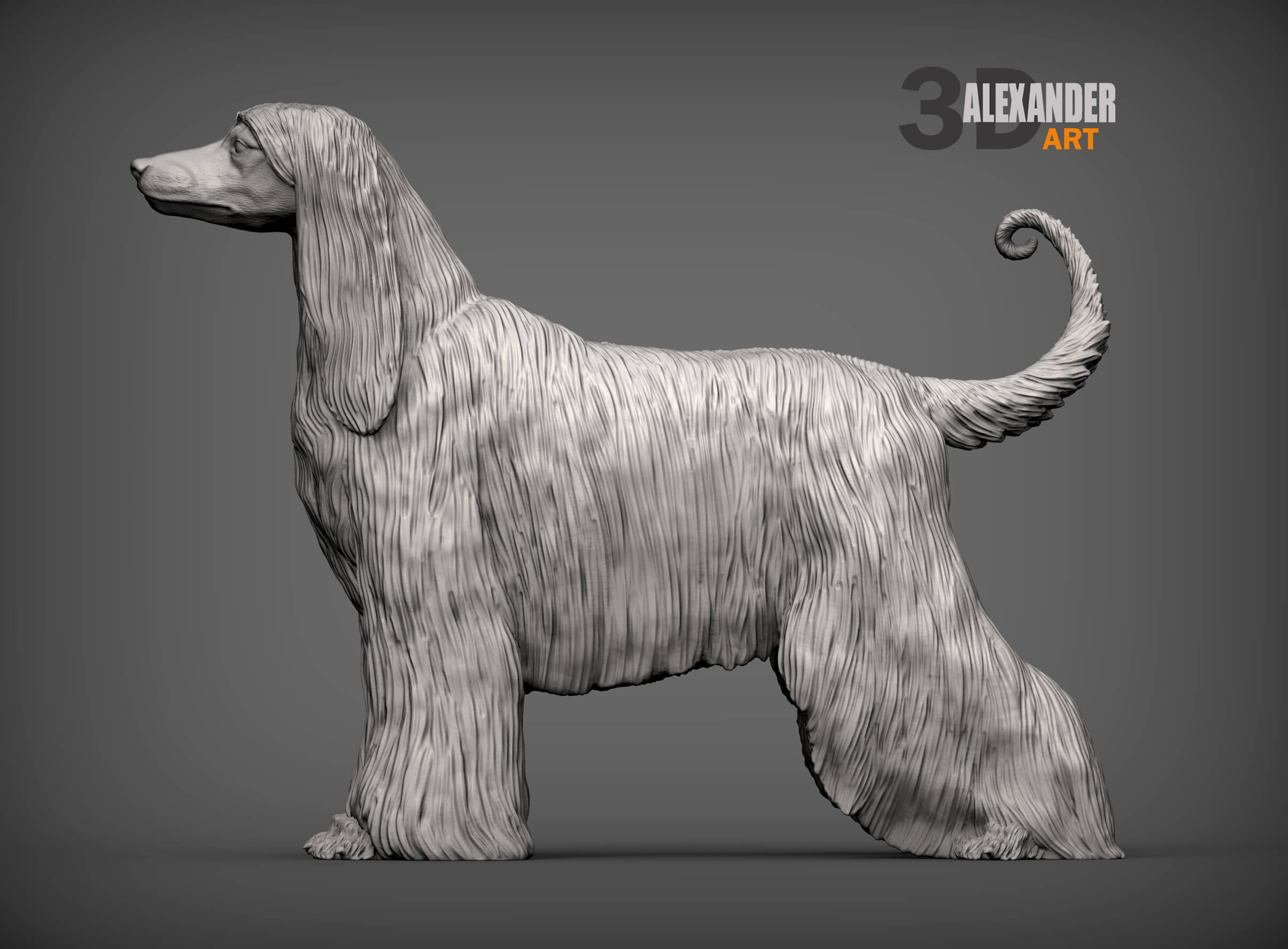 Afghan Hound 3D Print Model by Alexander3dart