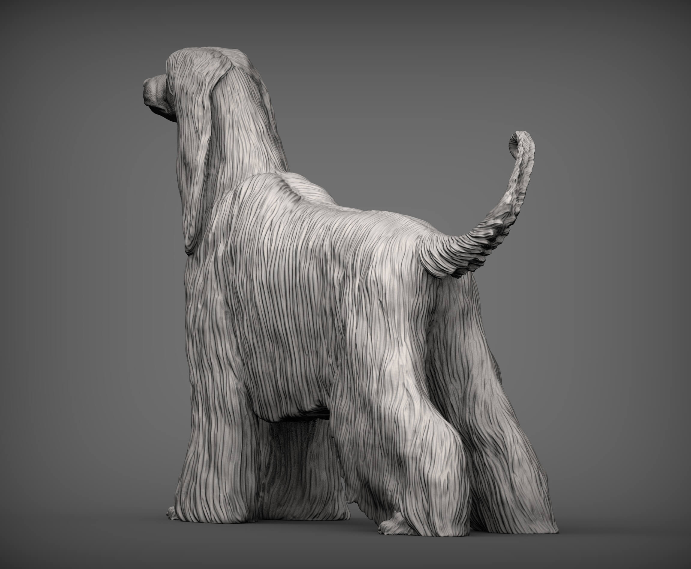 Afghan Hound 3D Print Model by Alexander3dart
