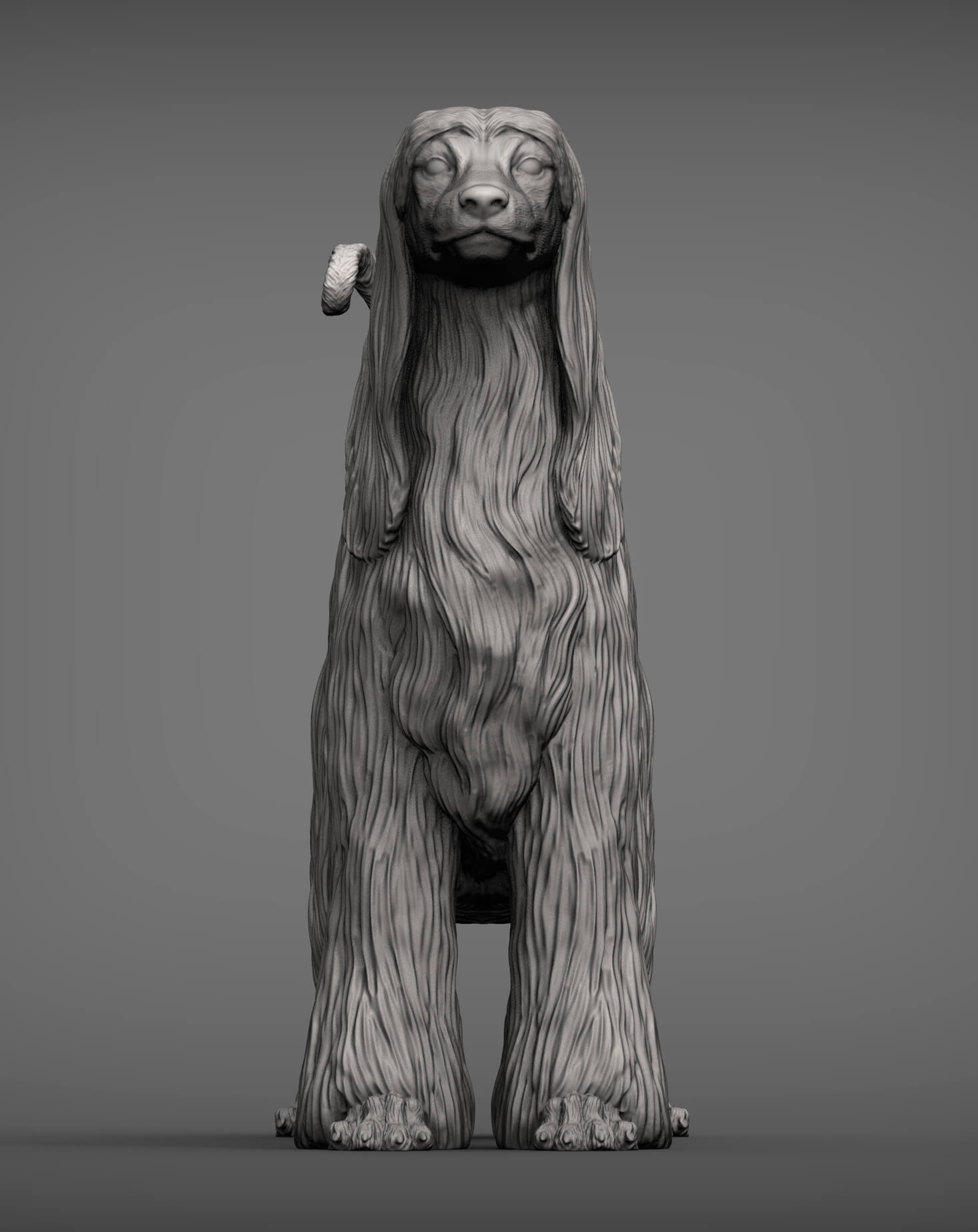 Afghan Hound 3D Print Model by Alexander3dart