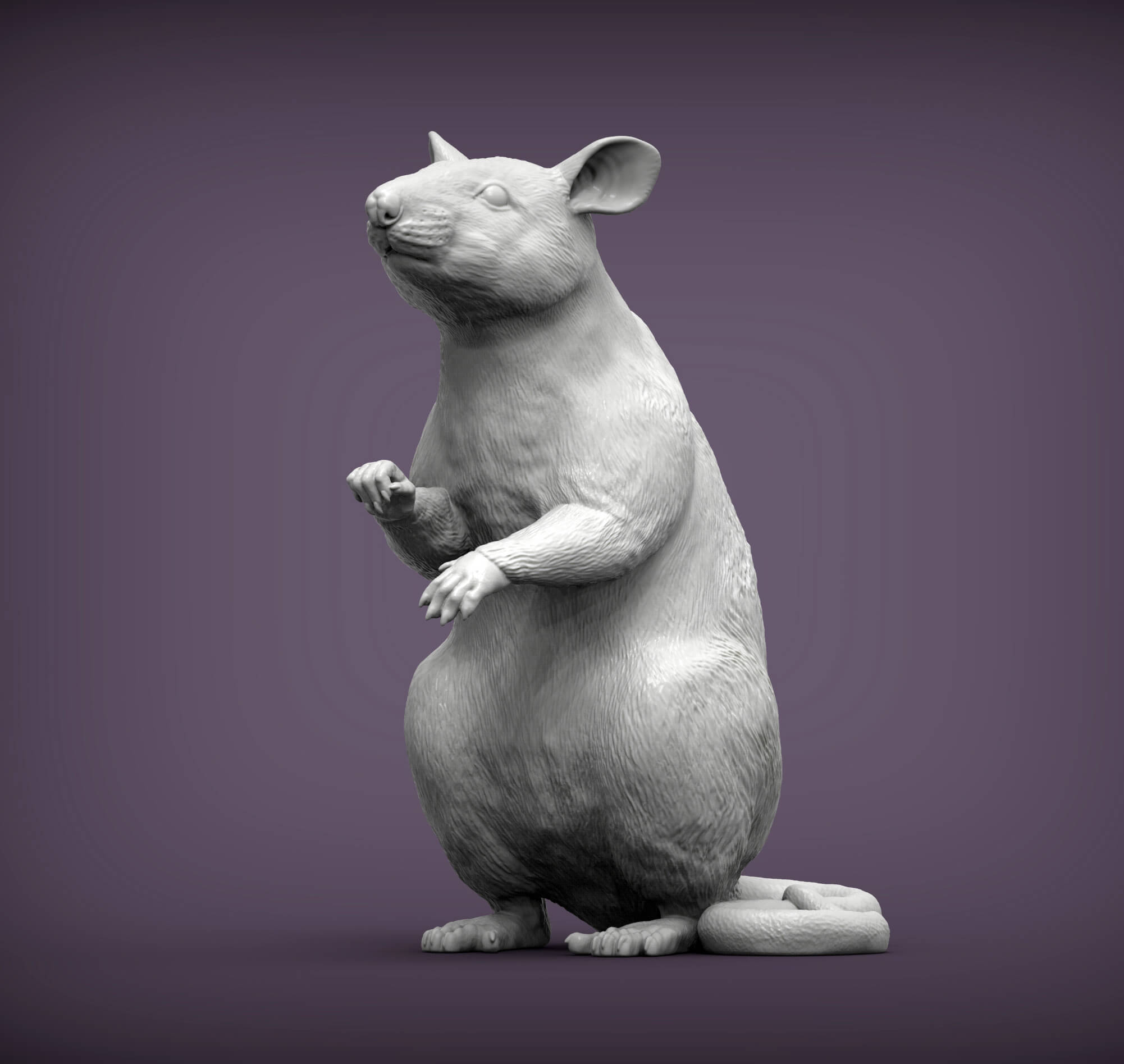 African Giant Pouched Rat 3D Print Model by Alexander3dart