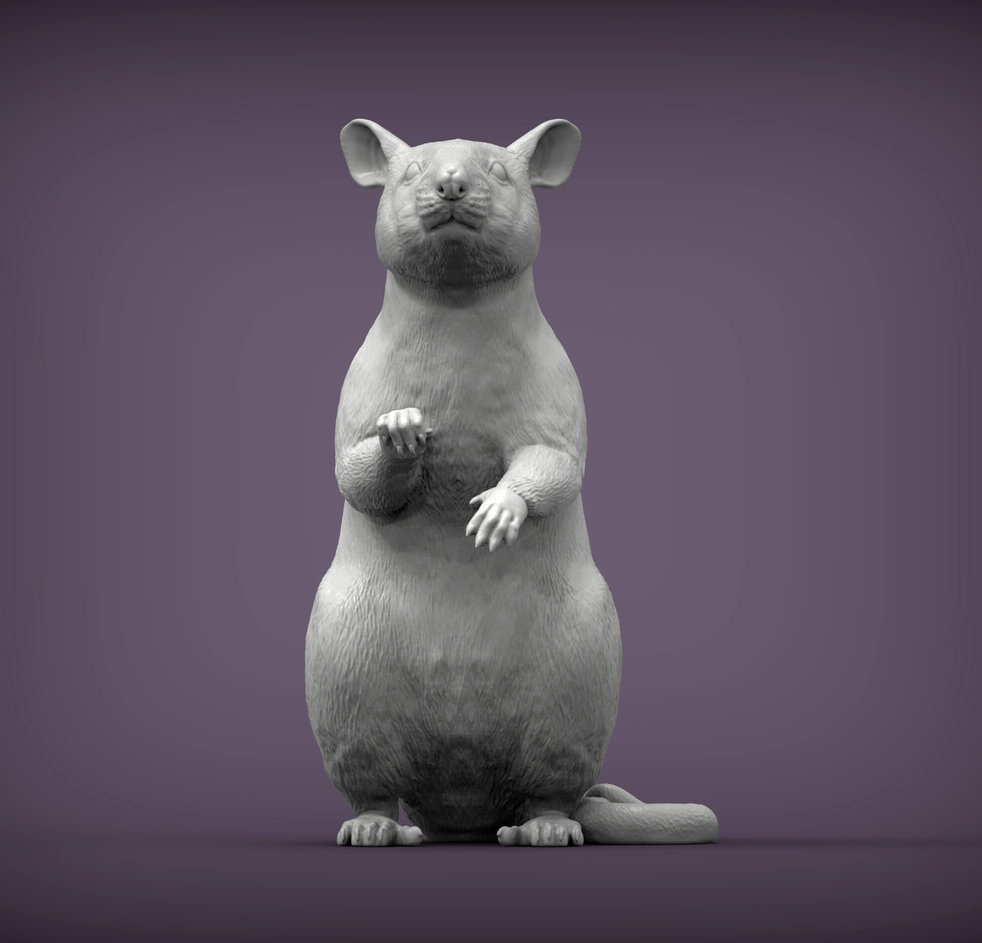 African Giant Pouched Rat 3D Print Model by Alexander3dart