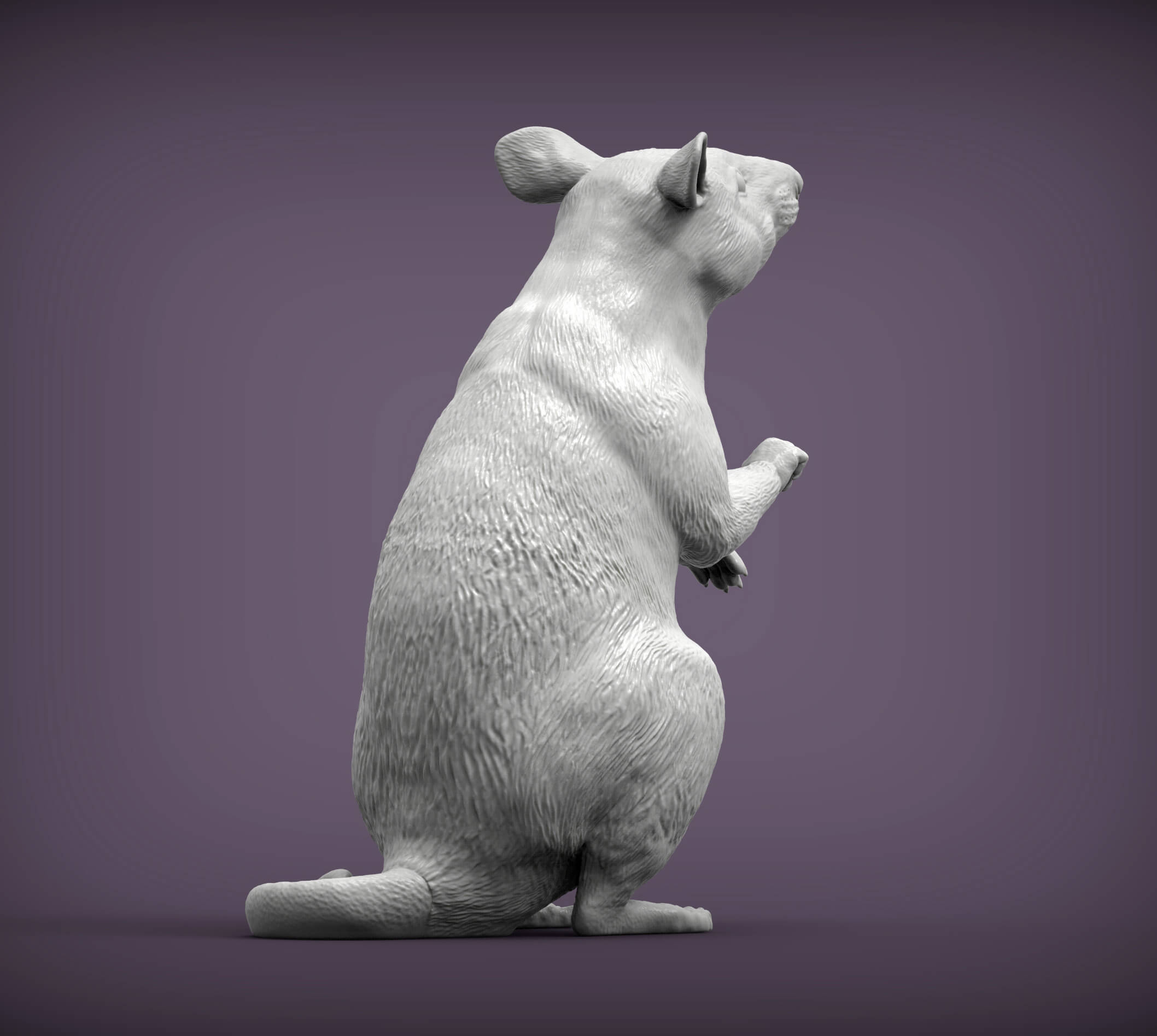 African Giant Pouched Rat 3D Print Model by Alexander3dart
