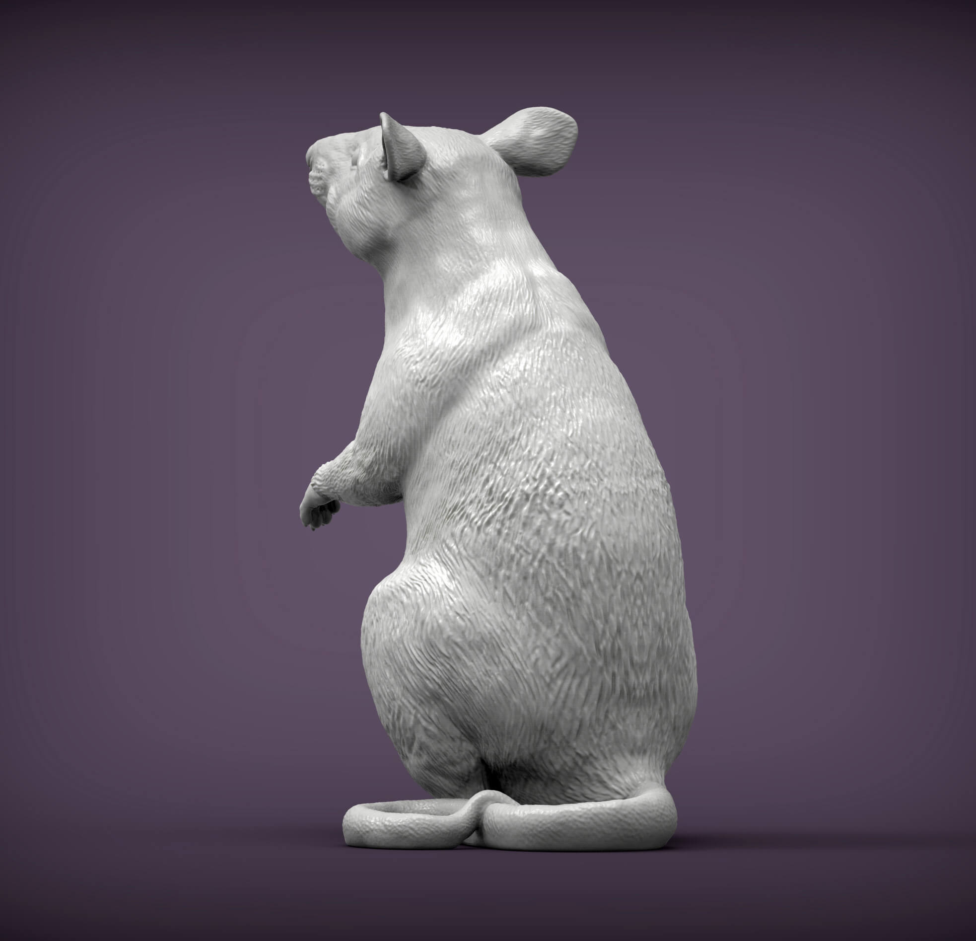 African Giant Pouched Rat 3D Print Model by Alexander3dart