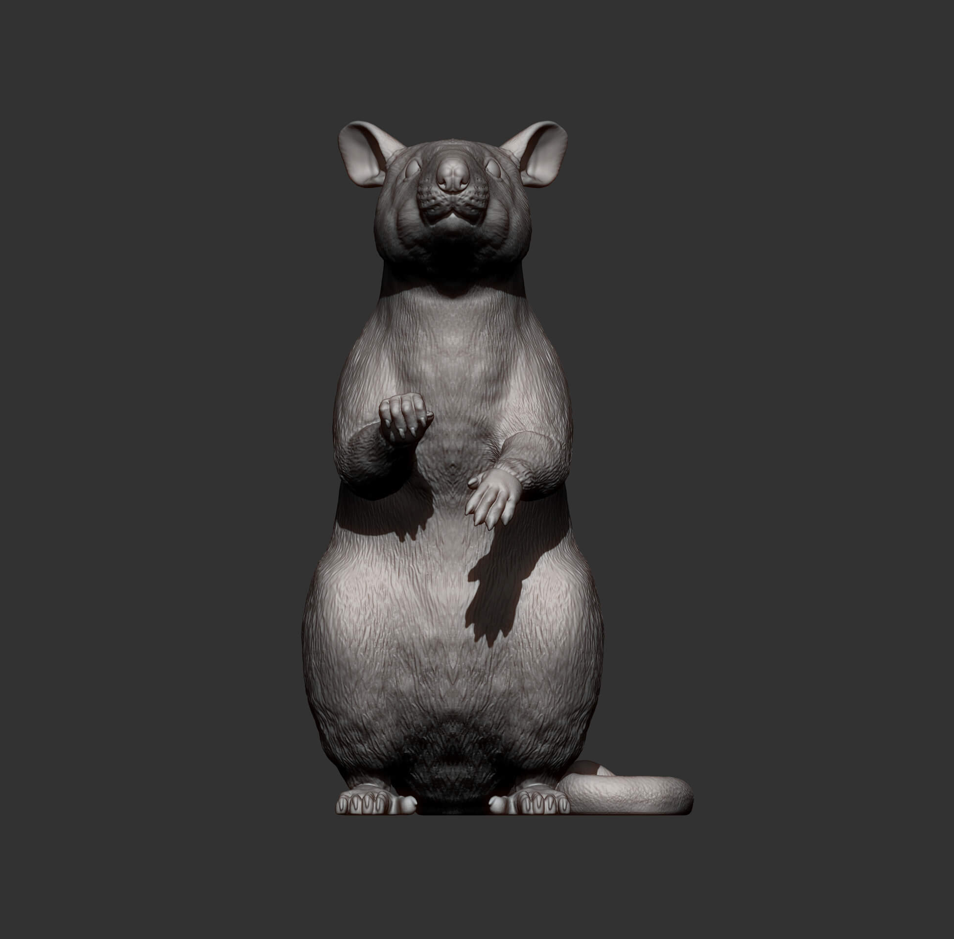 African Giant Pouched Rat 3D Print Model by Alexander3dart