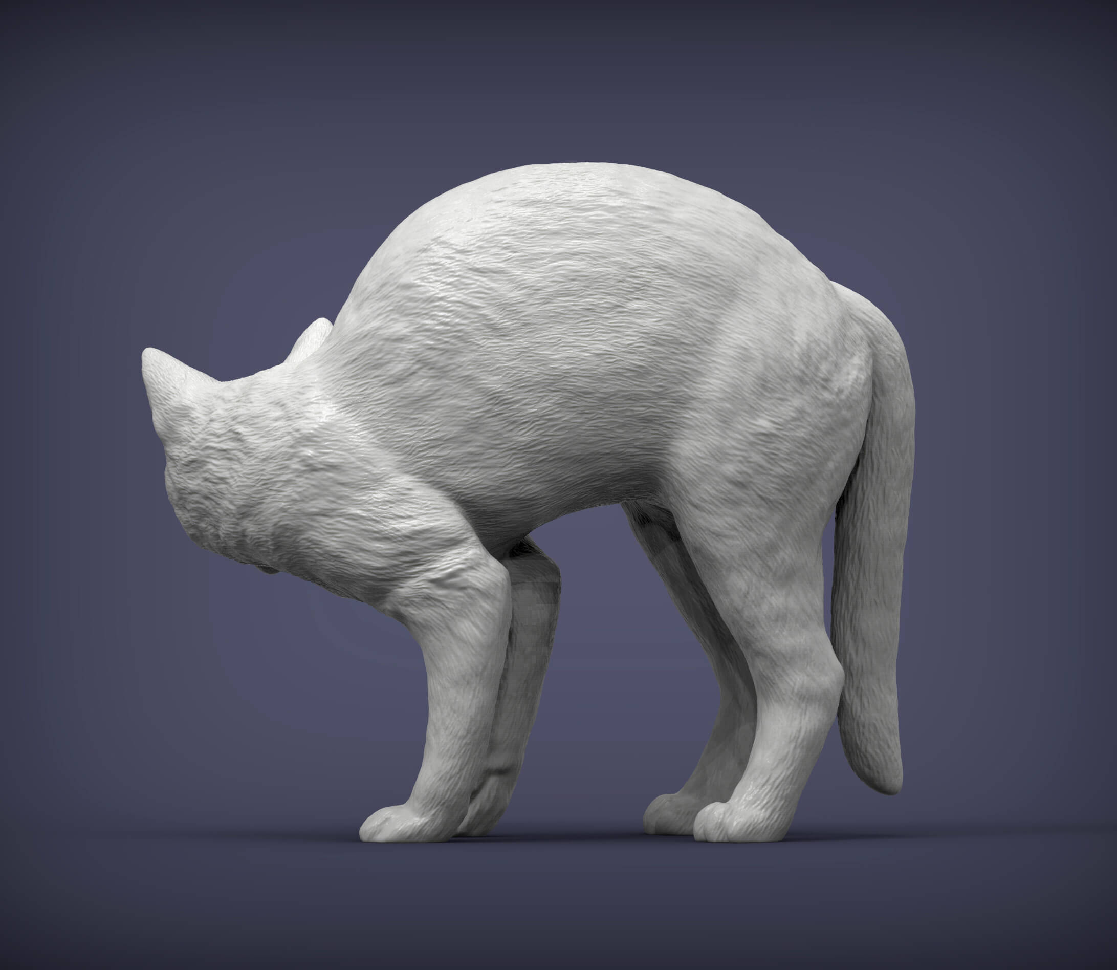 Aggressive Cat 3D Print Model by Alexander3dart