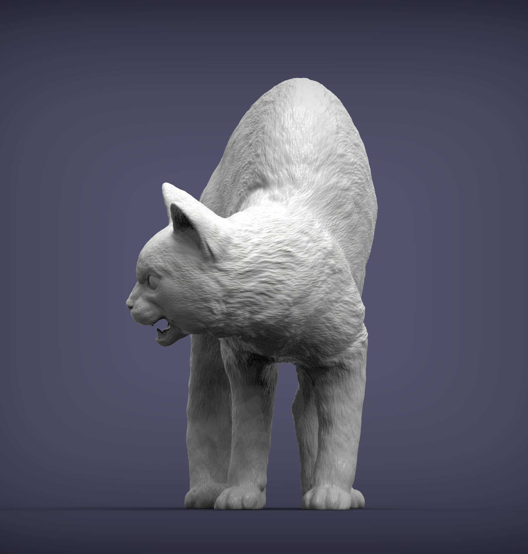 Aggressive Cat 3D Print Model by Alexander3dart