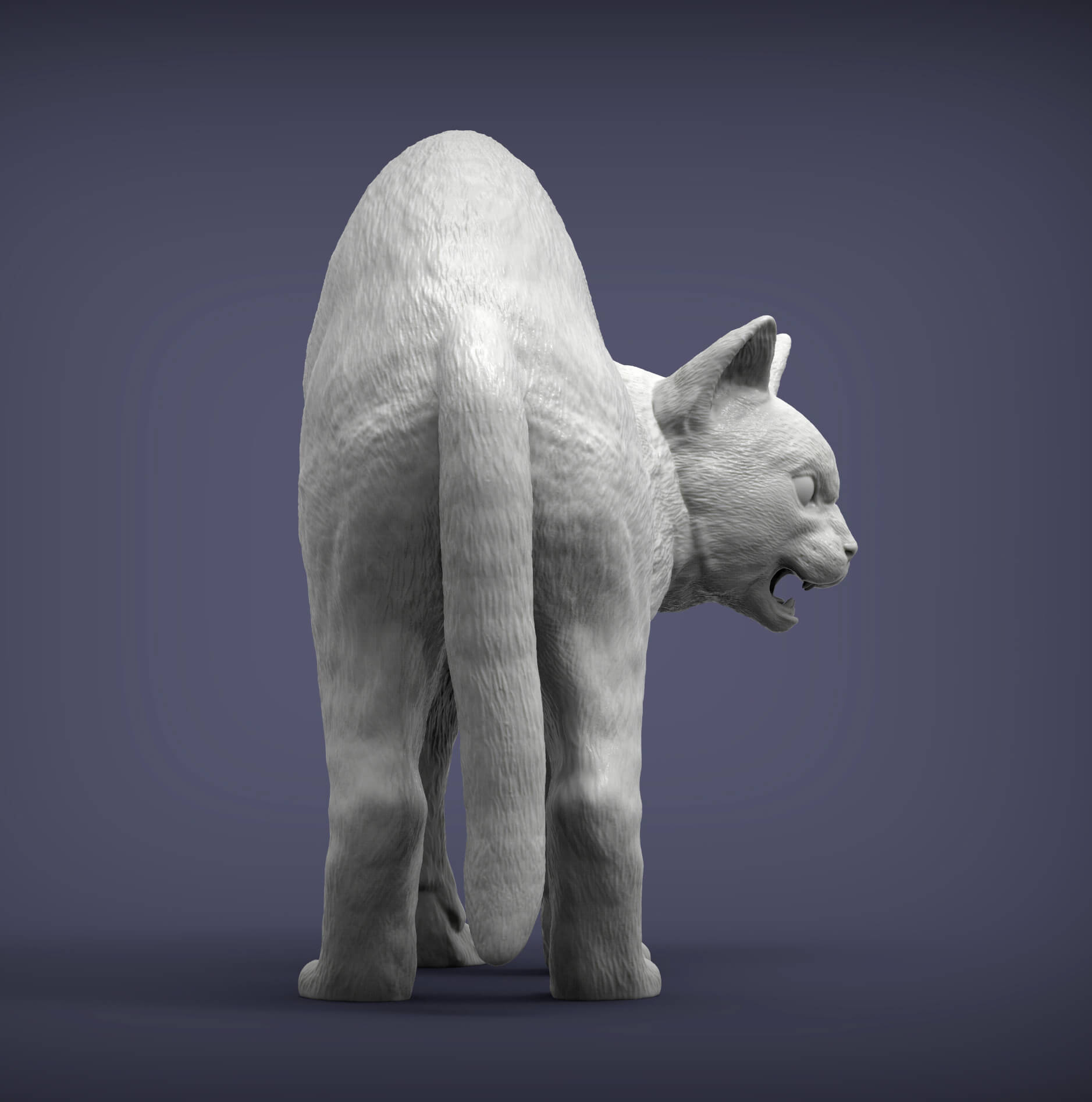 Aggressive Cat 3D Print Model by Alexander3dart