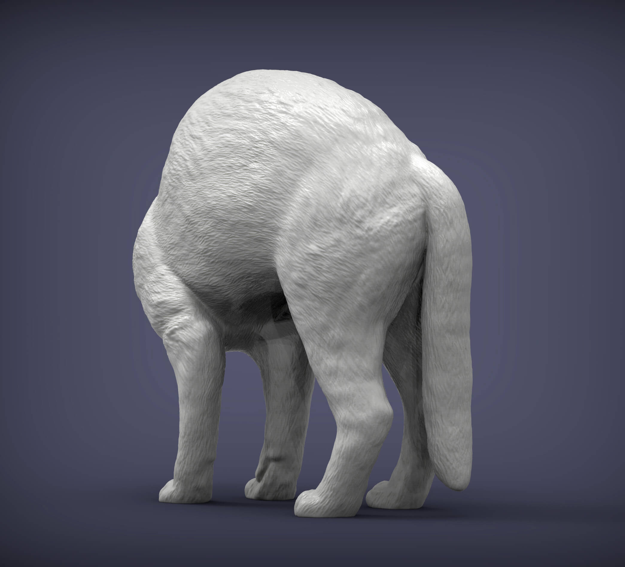 Aggressive Cat 3D Print Model by Alexander3dart