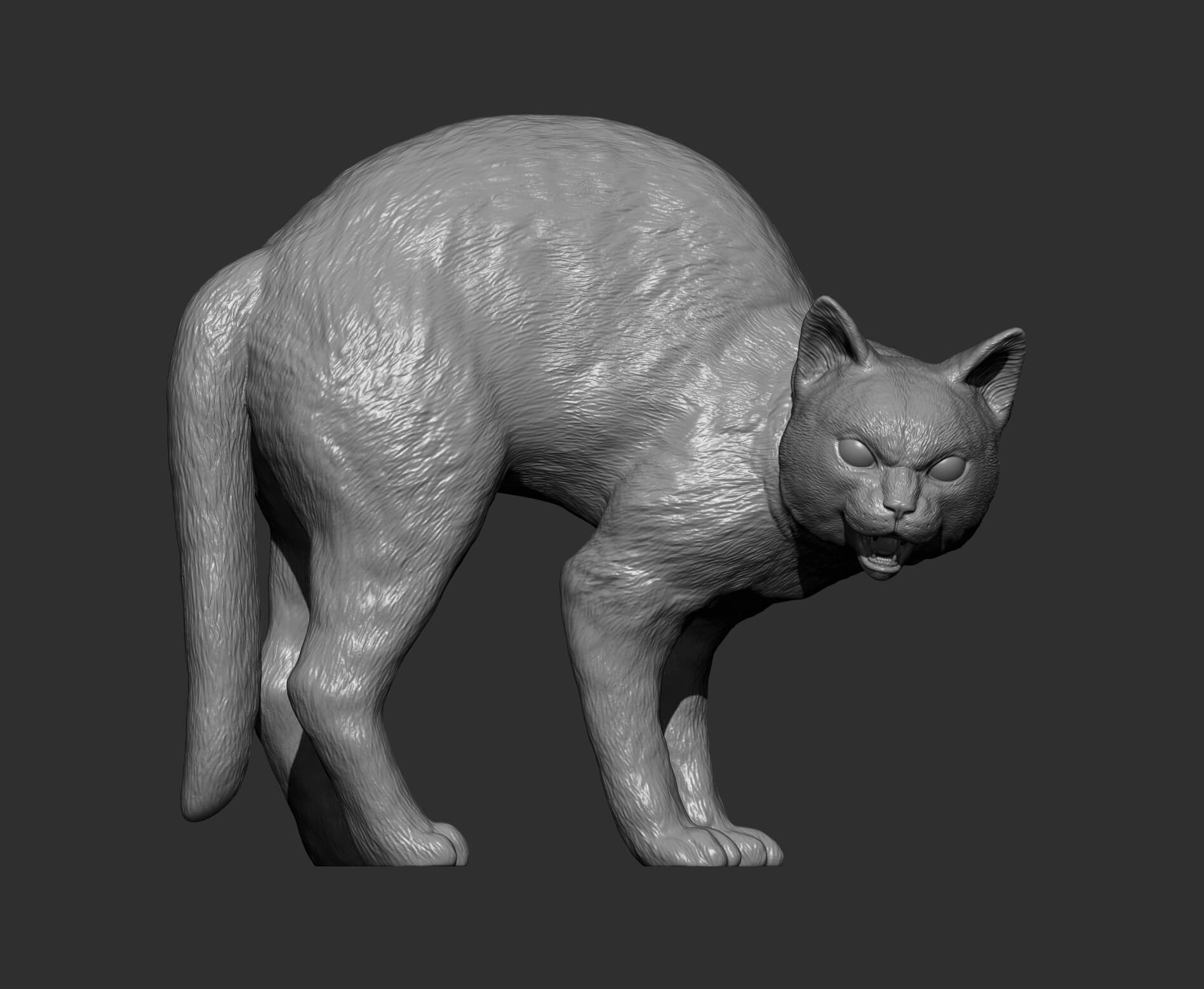 Aggressive Cat 3D Print Model by Alexander3dart