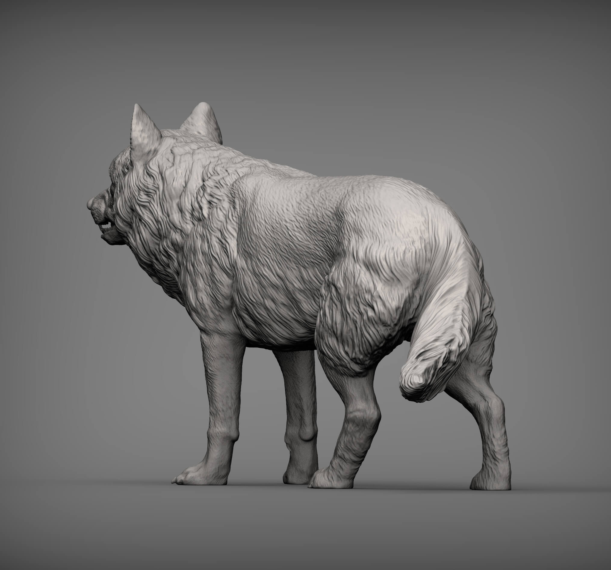 Aggressive Wolf 3D Print Model by Alexander3dart