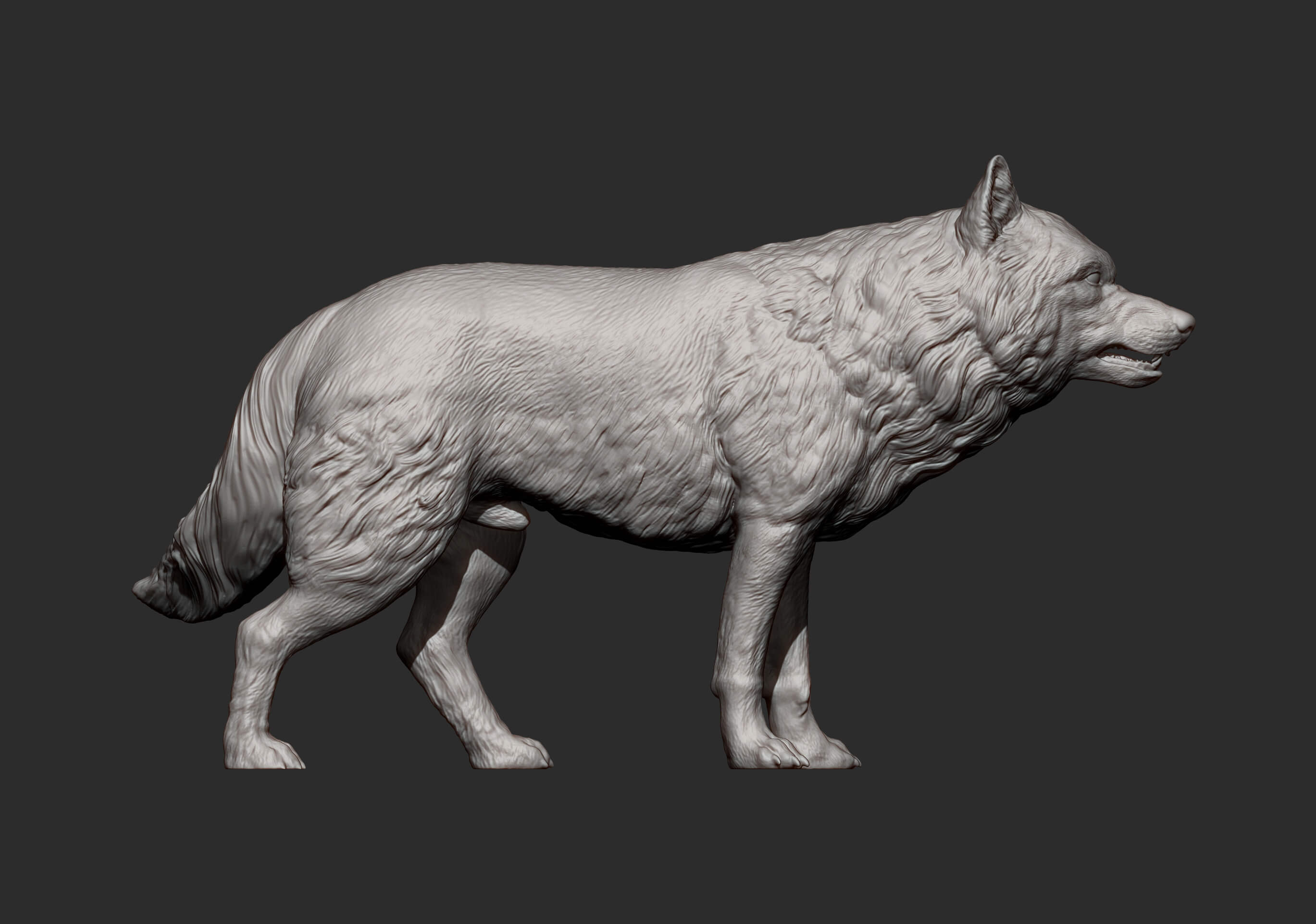 Aggressive Wolf 3D Print Model by Alexander3dart