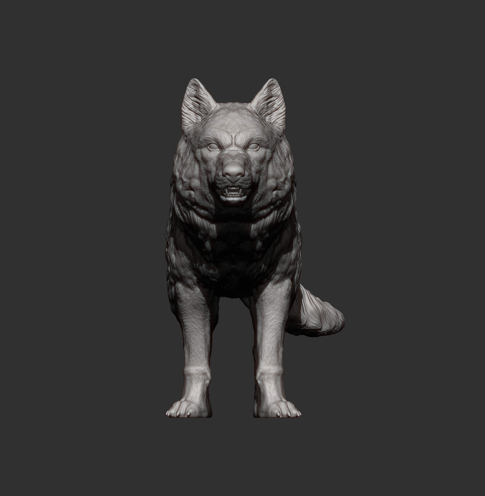 Aggressive Wolf 3D Print Model by Alexander3dart