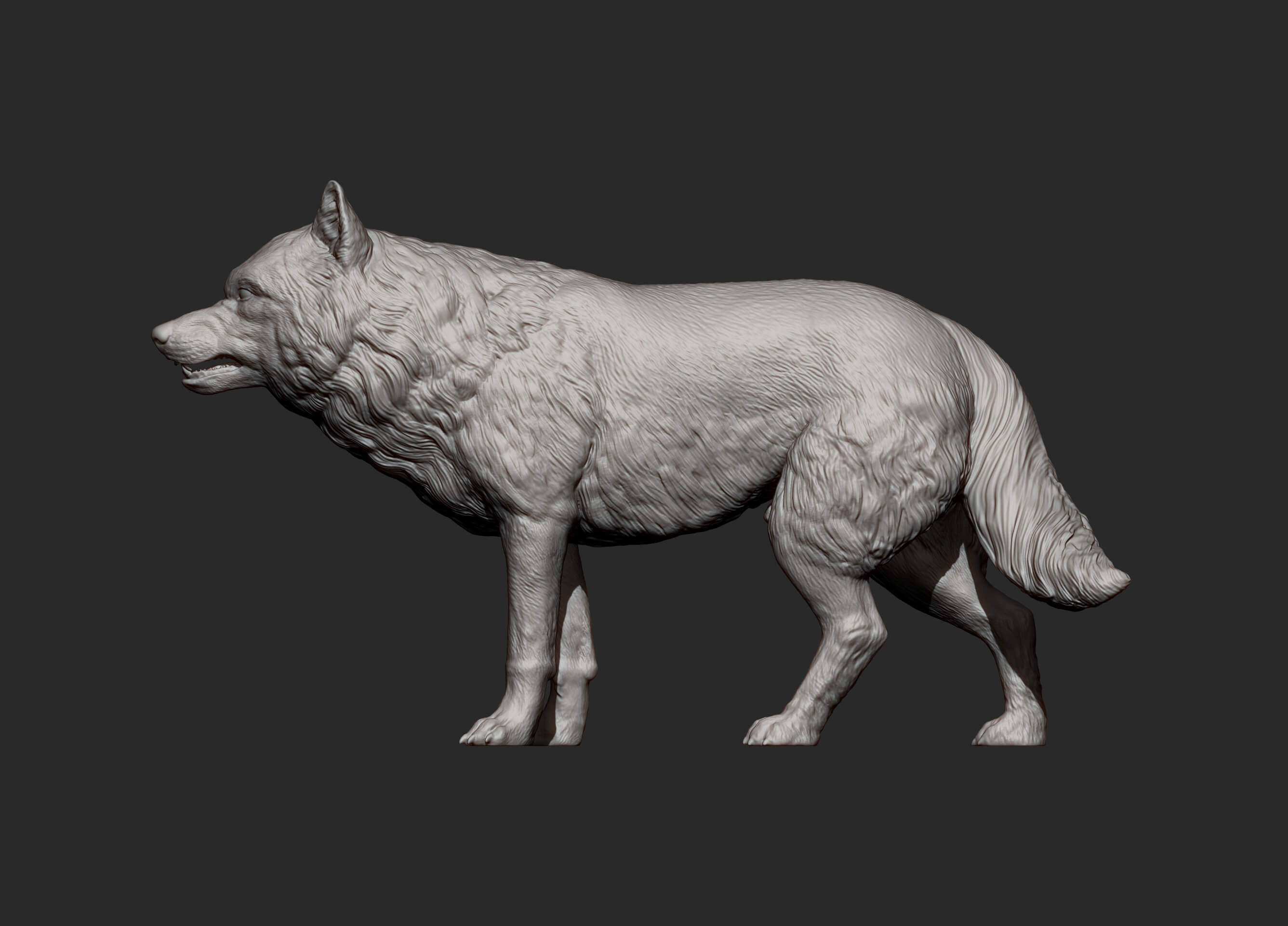Aggressive Wolf 3D Print Model by Alexander3dart