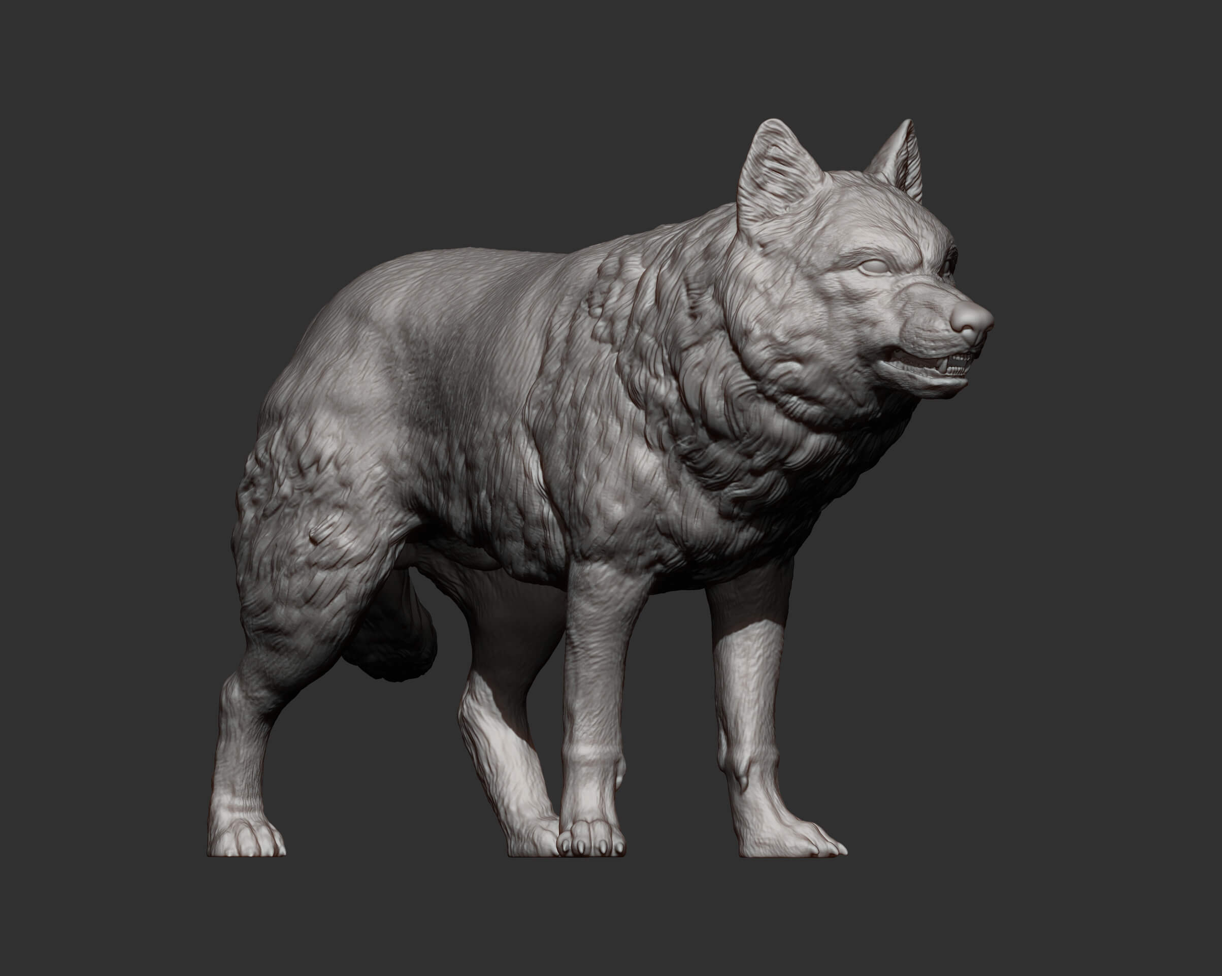 Aggressive Wolf 3D Print Model by Alexander3dart