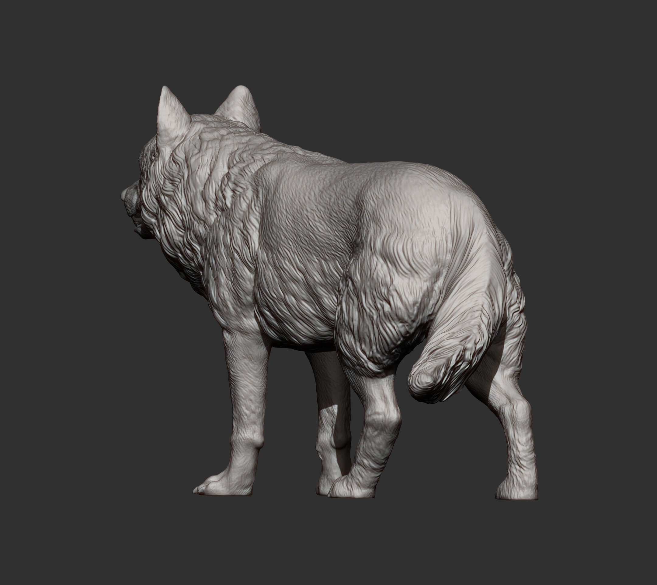 Aggressive Wolf 3D Print Model by Alexander3dart